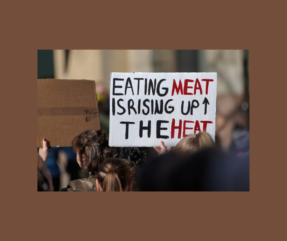 Factory Farming's Role in Climate Disasters: A Call for Sustainable ...