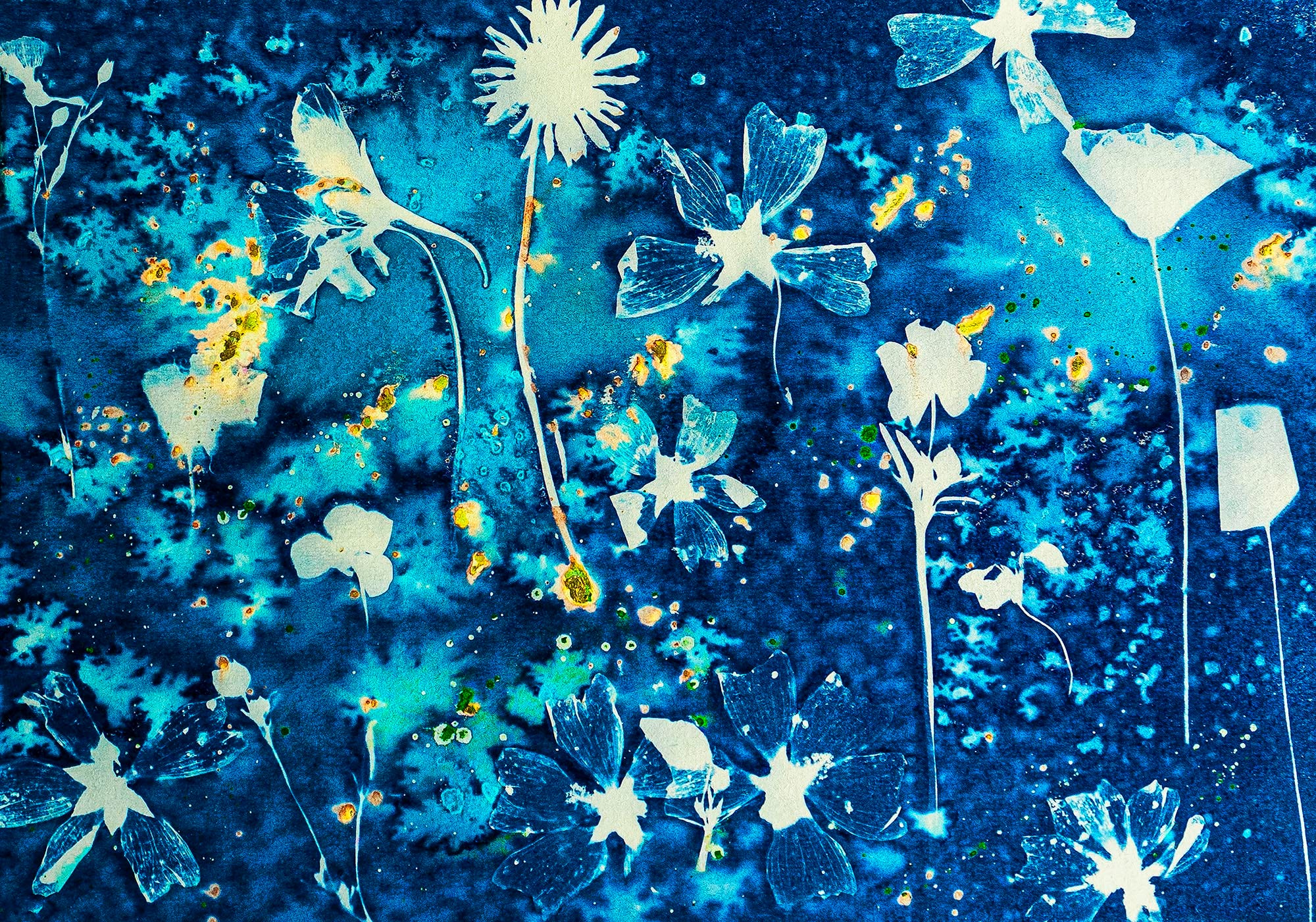 Part Science, Part Alchemy … The Art of the Cyanotype