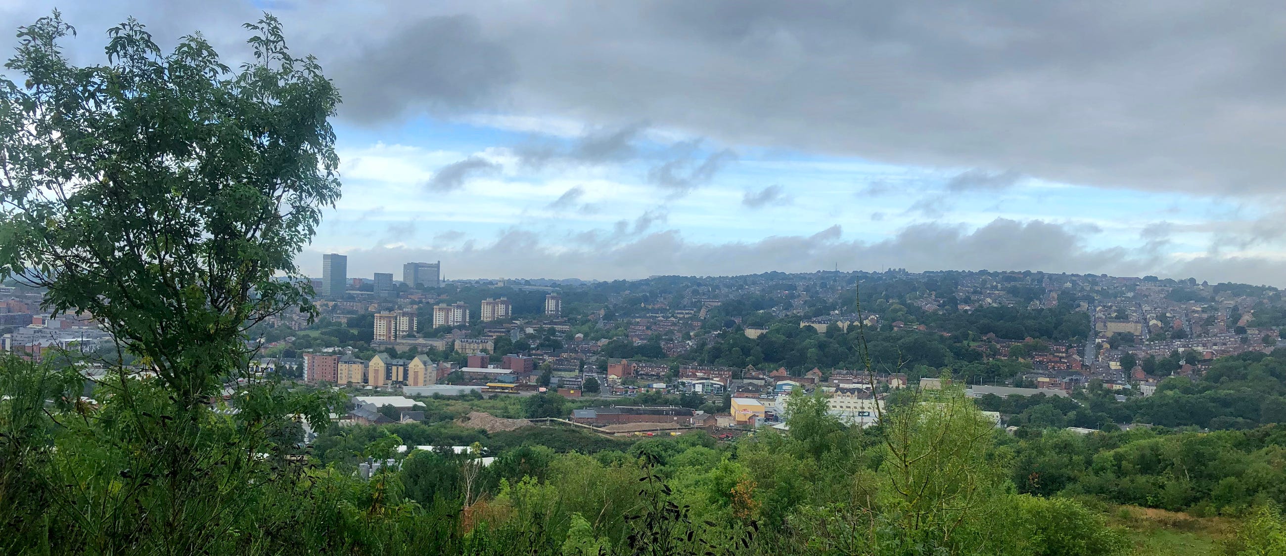 Inner City Forestry : Sun 27th August - by David Bocking