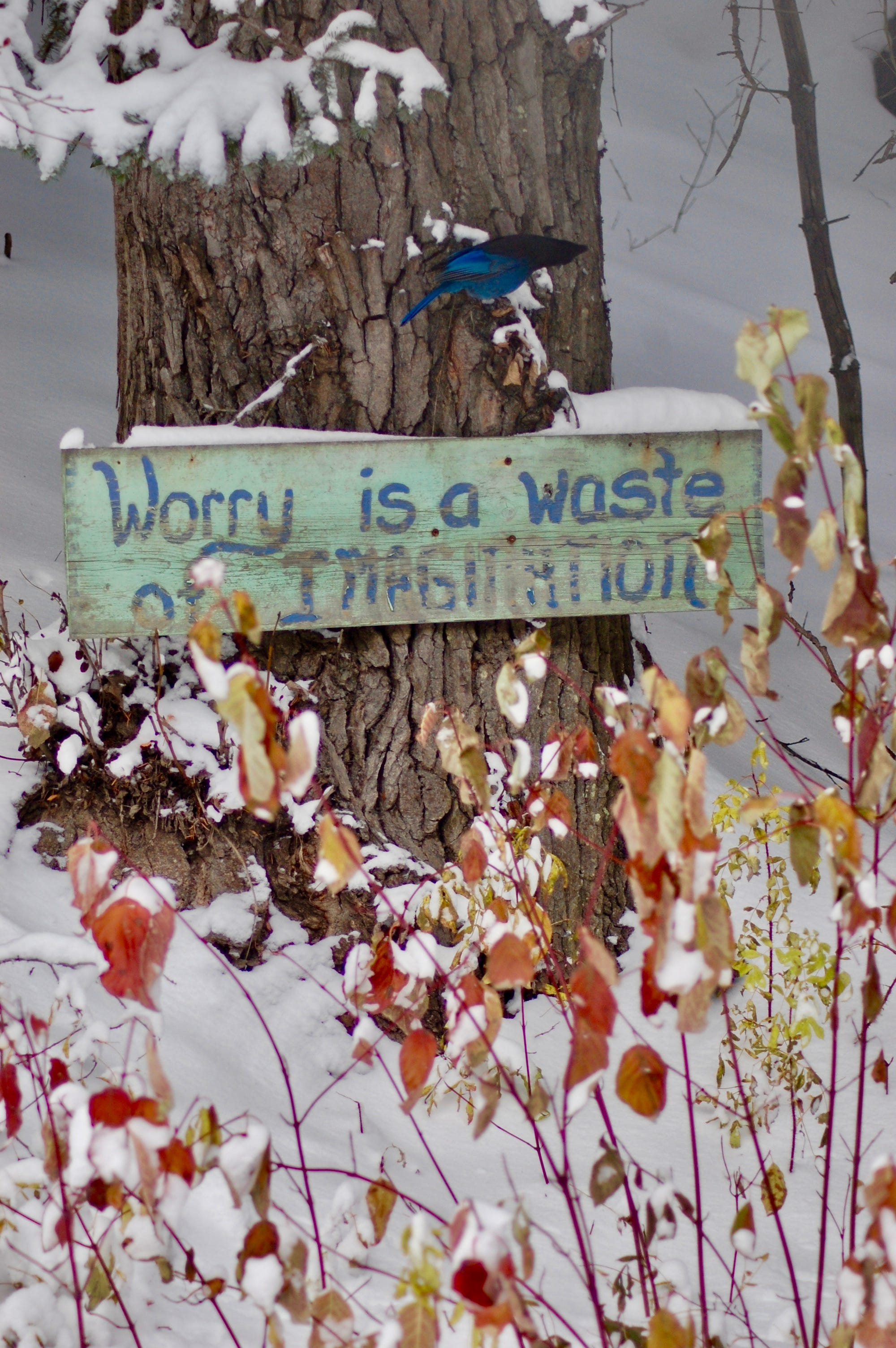 “Worry is a waste of imagination.” - Archaic Joy