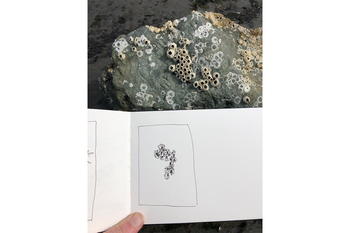 Take time to observe - Creative Fuel with Anna Brones