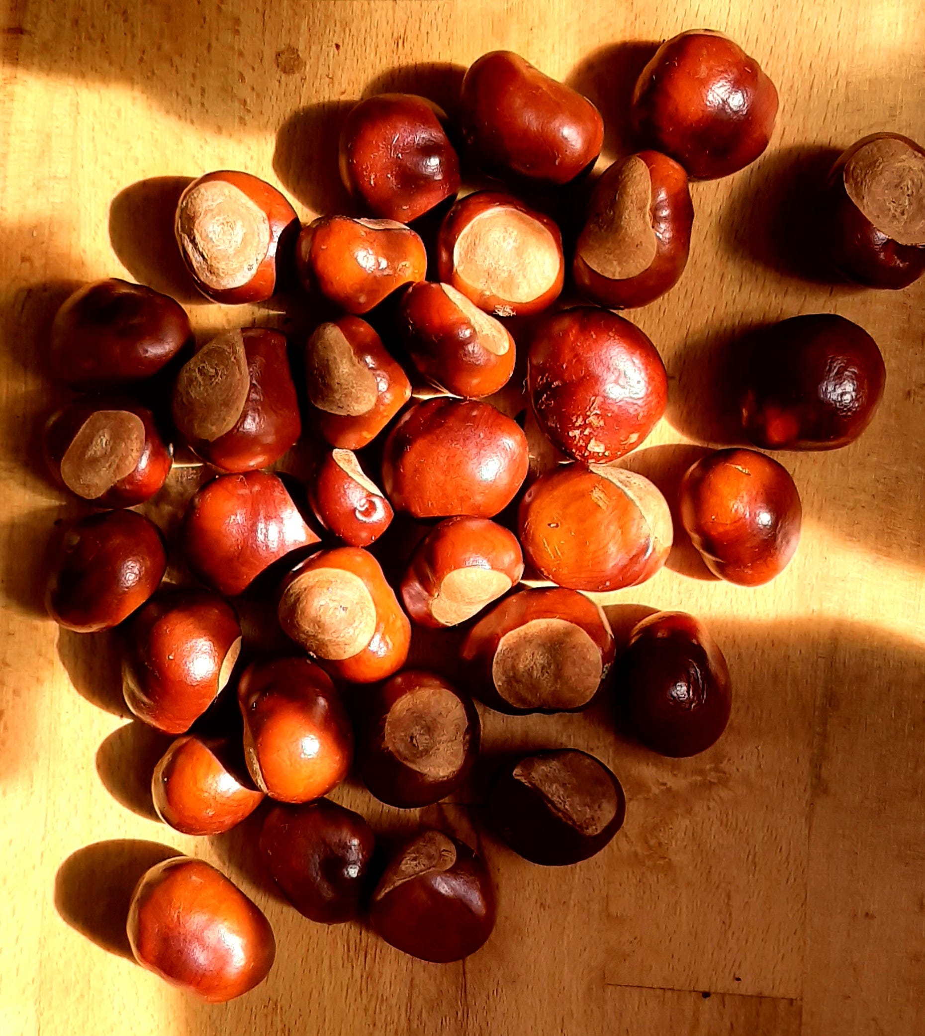 Autumn Time Remedy - by Hannah-May Batley