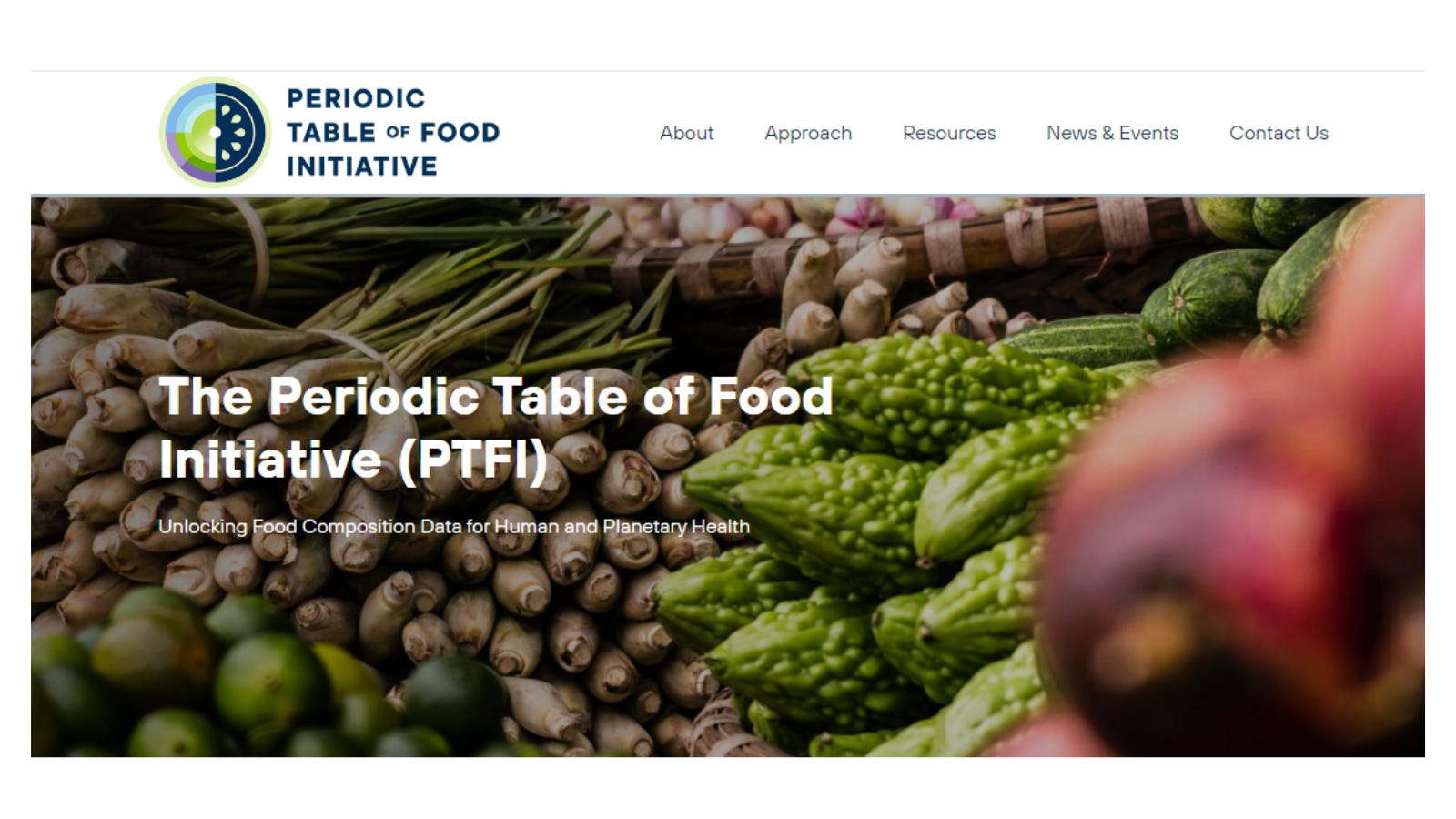 New Research on Foods from Around the World