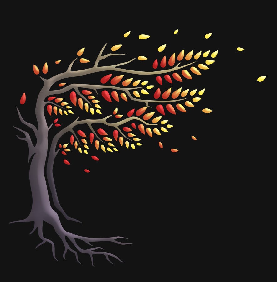 Ashes Moments | Substack