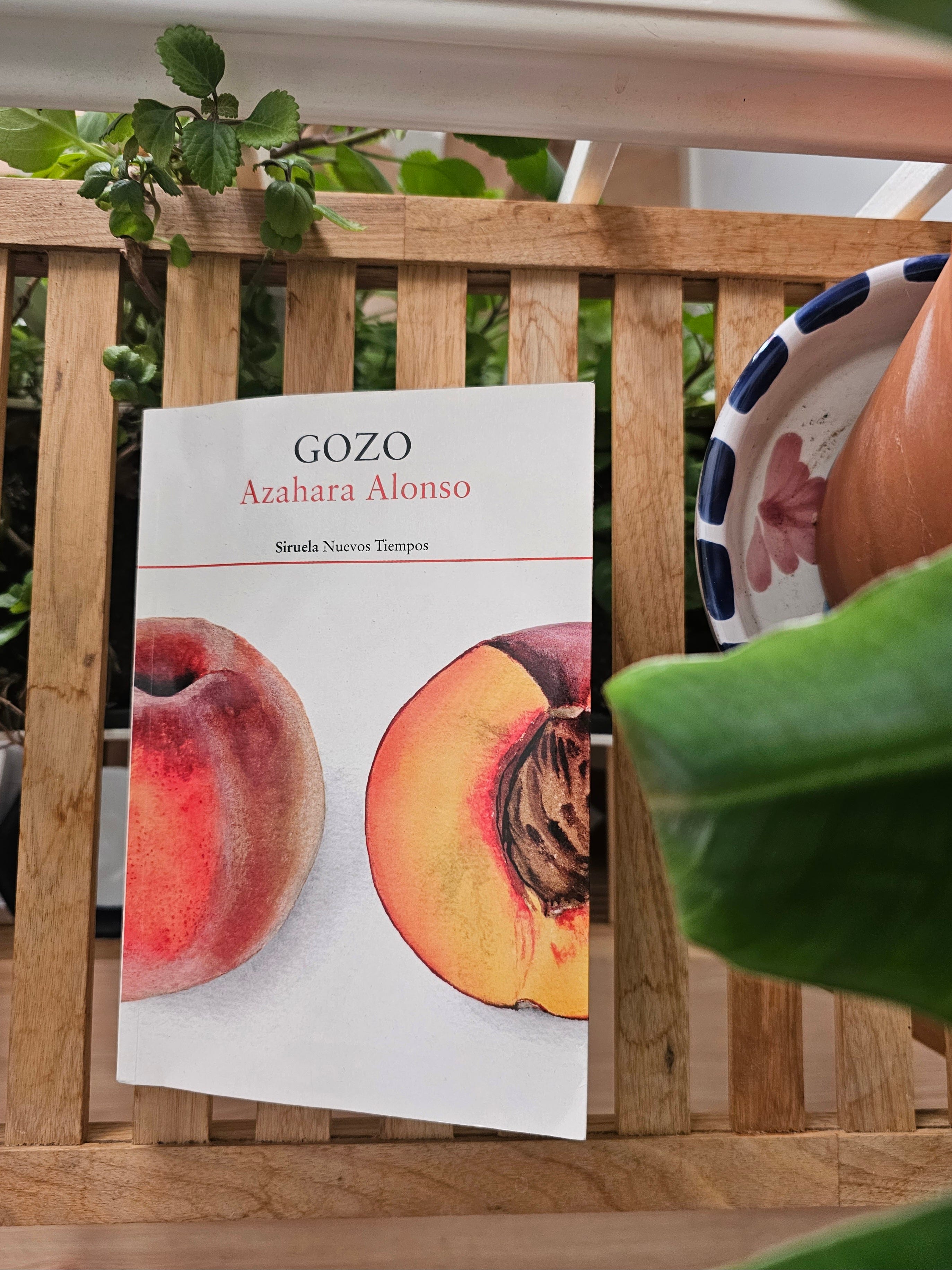 Leer por leer | Amaya Ascunce | Substack