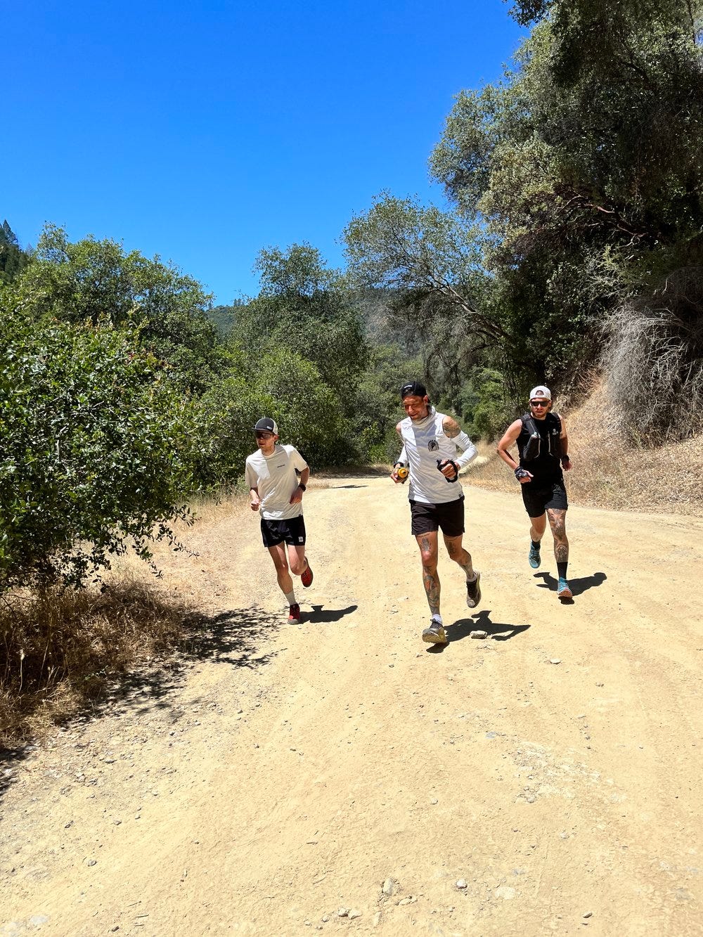 The Canyons - by Chris Z - Das Z Letter