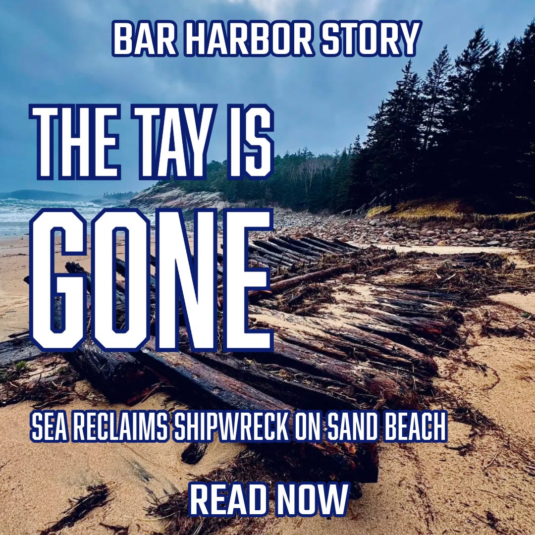 The Tay Is Gone - by Carrie Jones - Bar Harbor Story