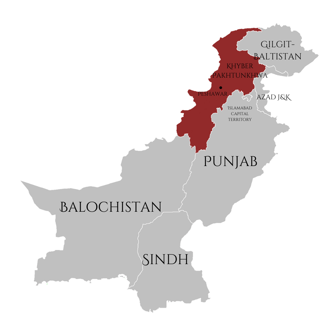 The Pashtun Tahafuz Movement You’ve Never Heard Of