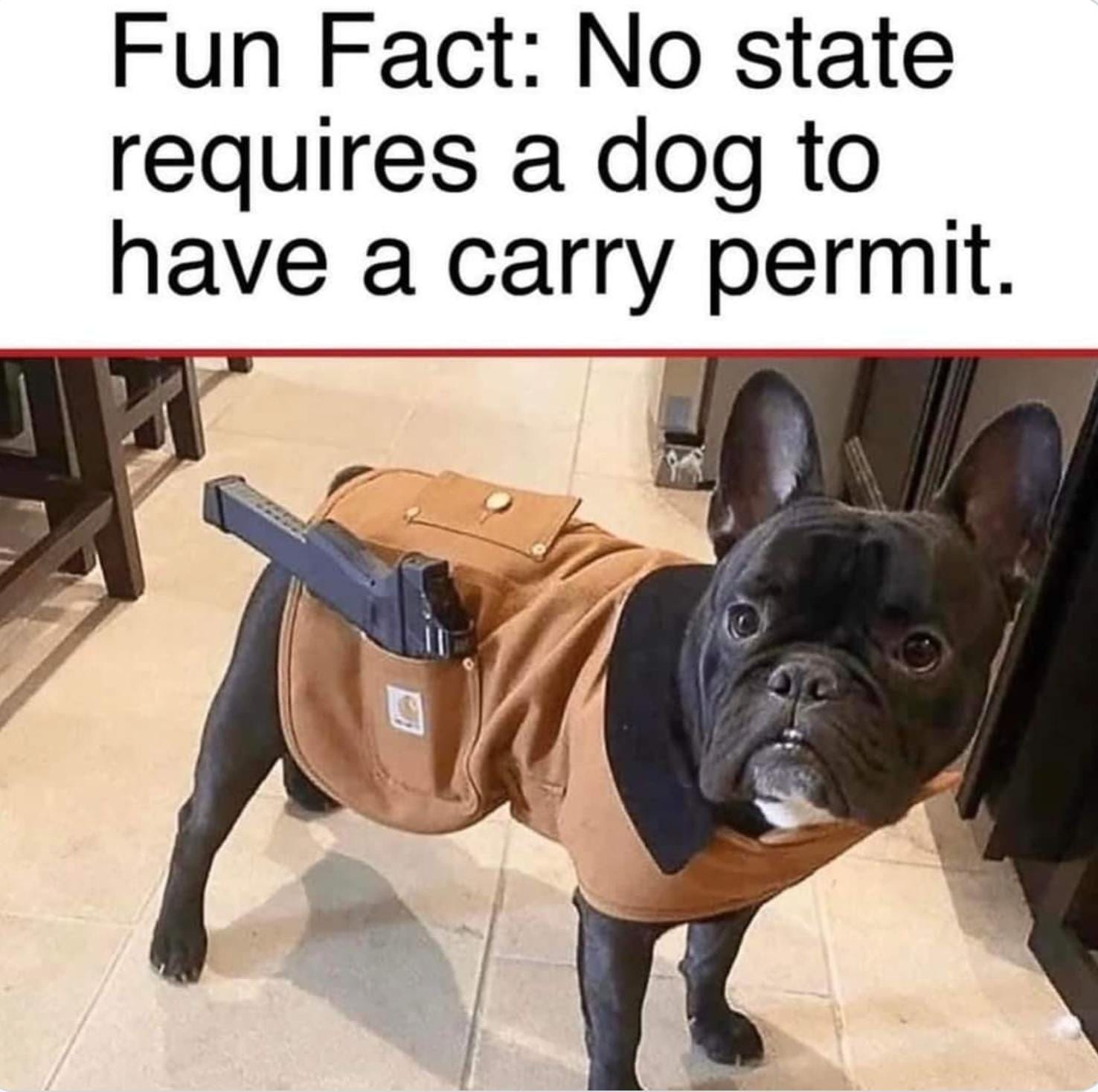 meanpool: how to spot stuff - by el gato malo