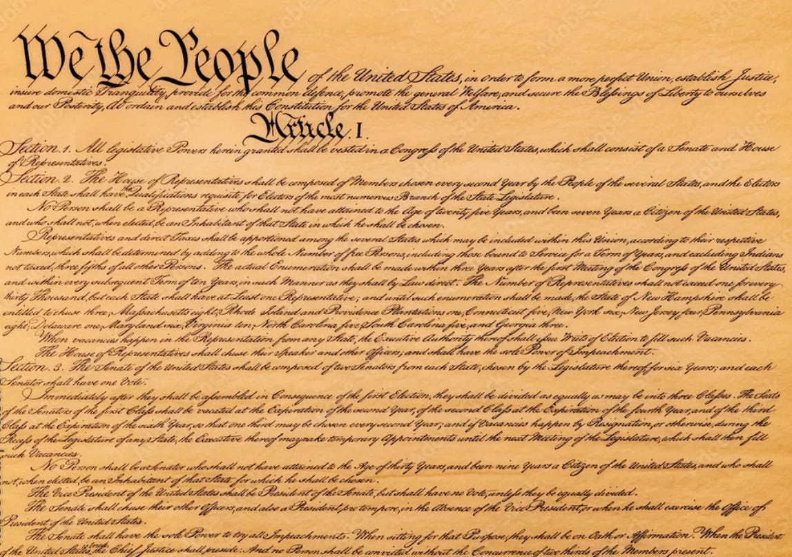 Voter ID - by JAMIE MARTIN - JAMIE’s Substack