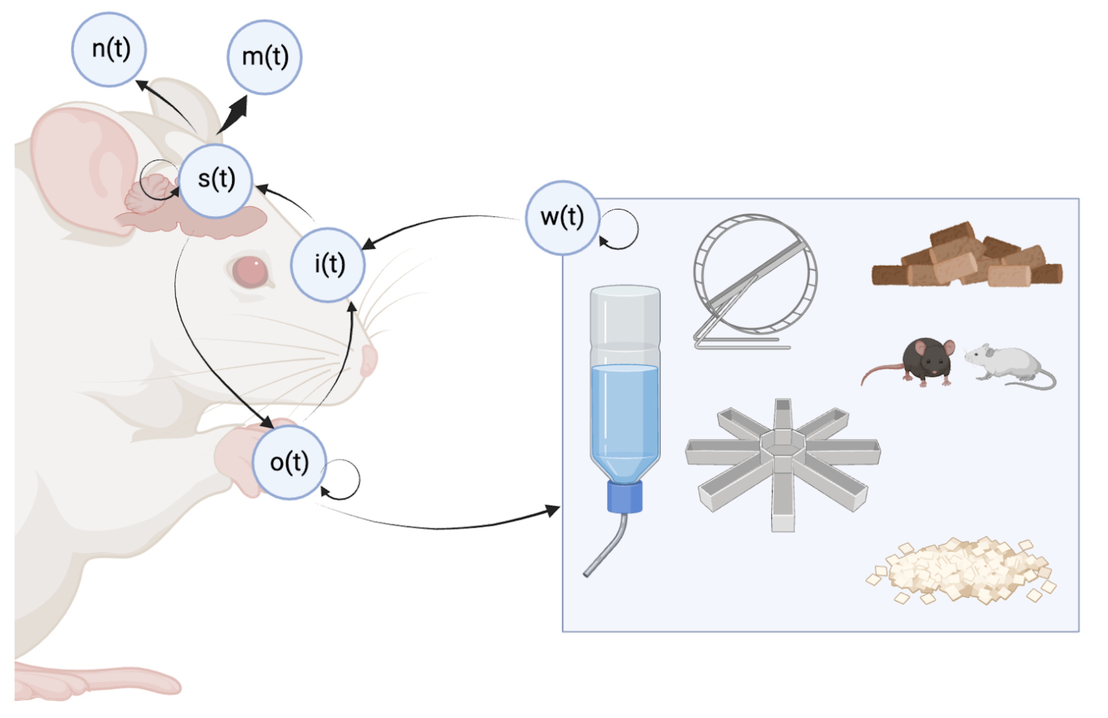 Foundation models for neuroscience - by Patrick Mineault