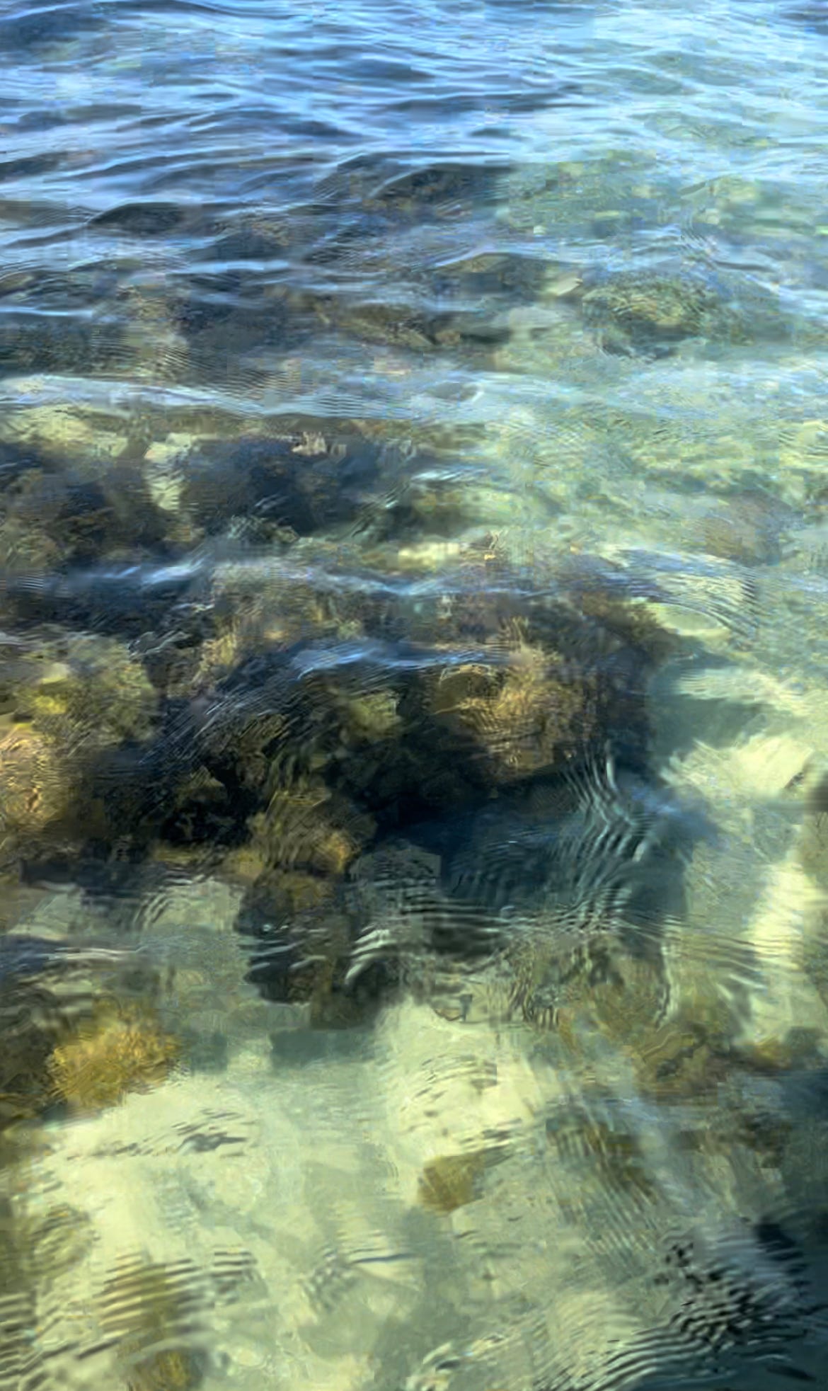 Go for a walk - by Lucinda Bain - Suburban Dreaming