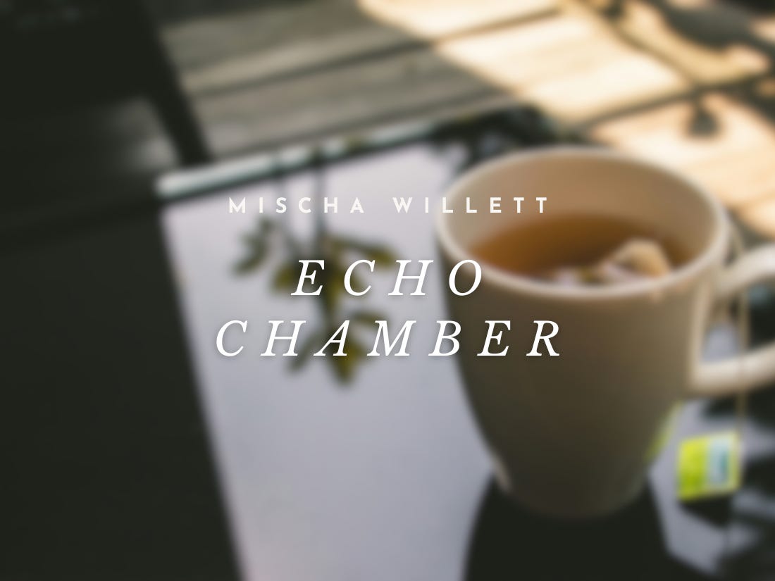Echo Chamber—Mischa Willett - by The Rabbit Room