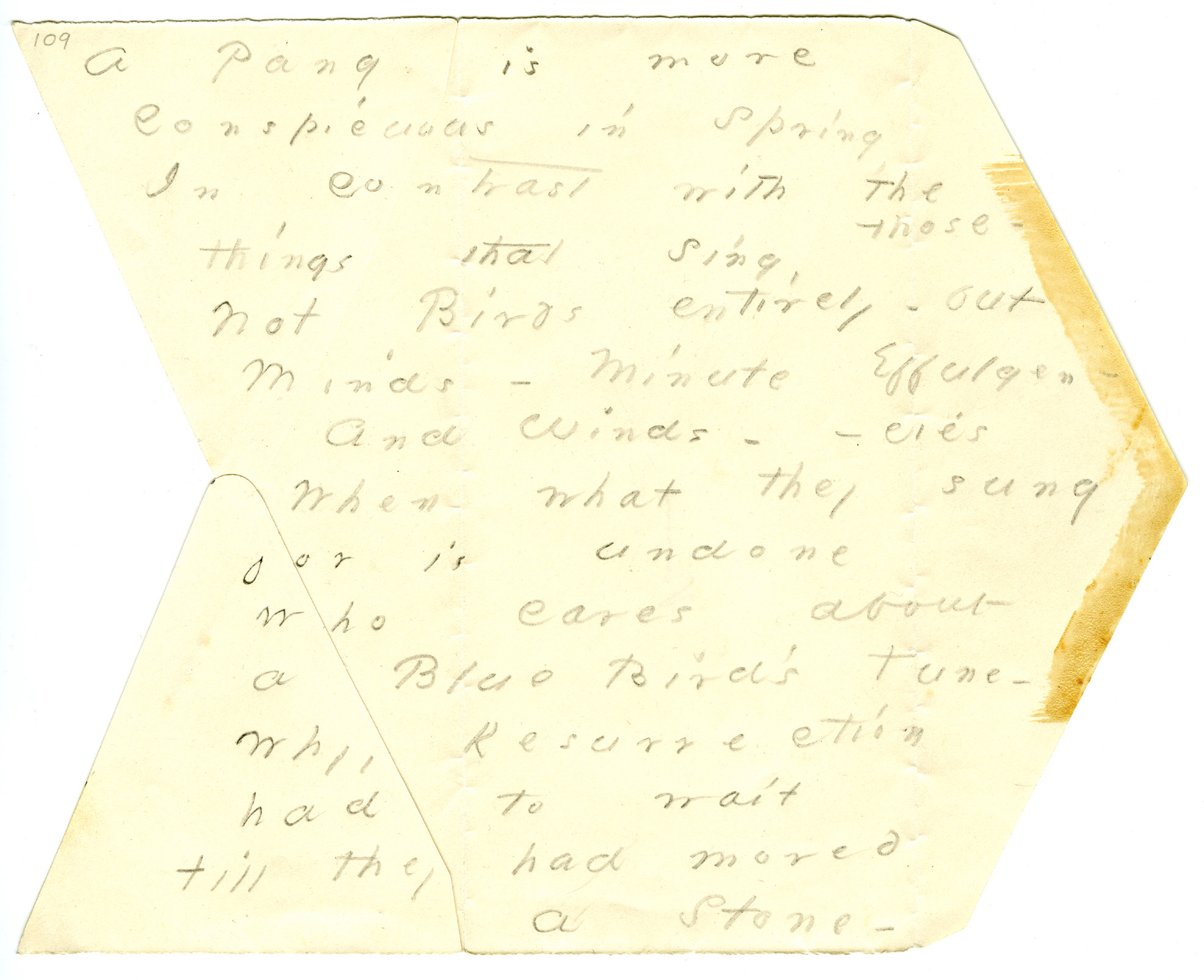 Deciphering Emily Dickinson's Notes - by Jillian Hess