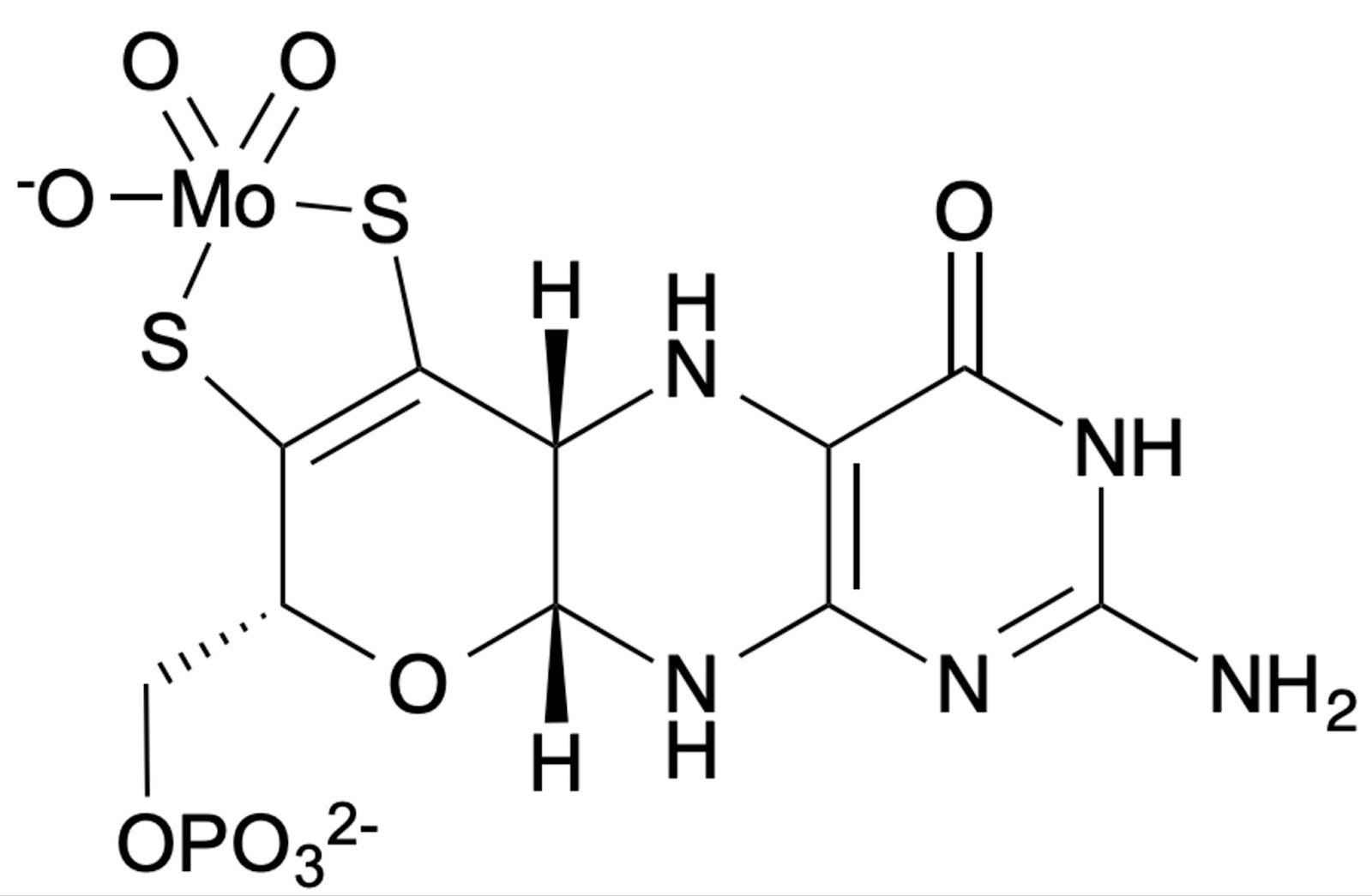 The Science Behind the Sulfur Protocol