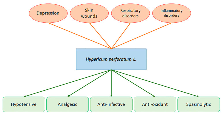 Friday Hope: Hypericin (St. John's Wort): Anti-Retroviral: Anti-Epstein ...