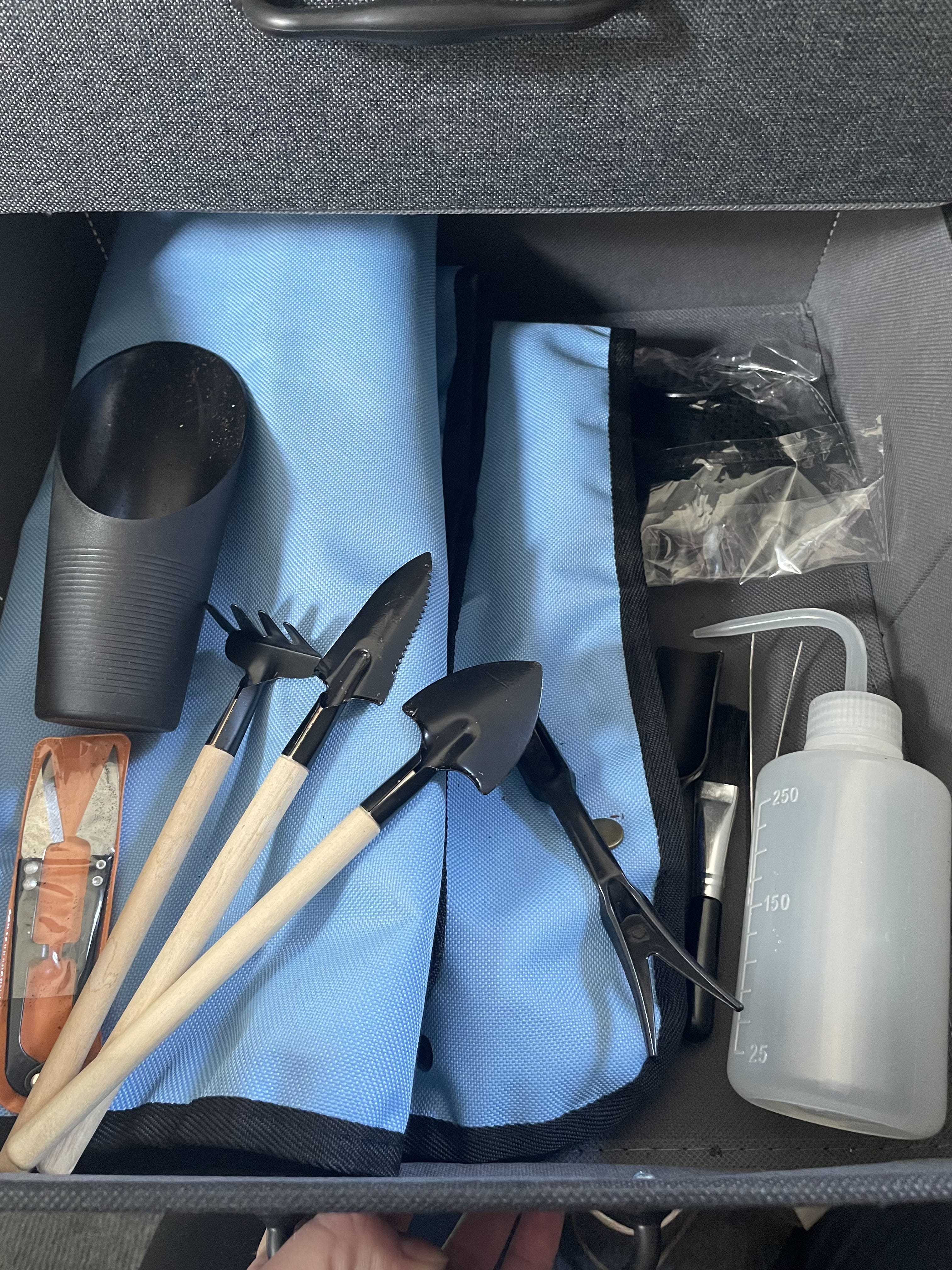 Rachel Dupont - by Lynnette Therese Sauer - Circling