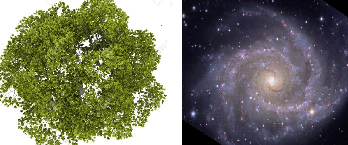 The Beautiful Structure of Cosmic Nothingness: Understanding Immutability