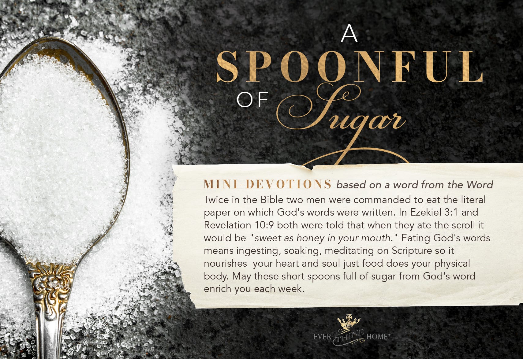 Welcome to the SPOONFUL OF SUGAR Series!