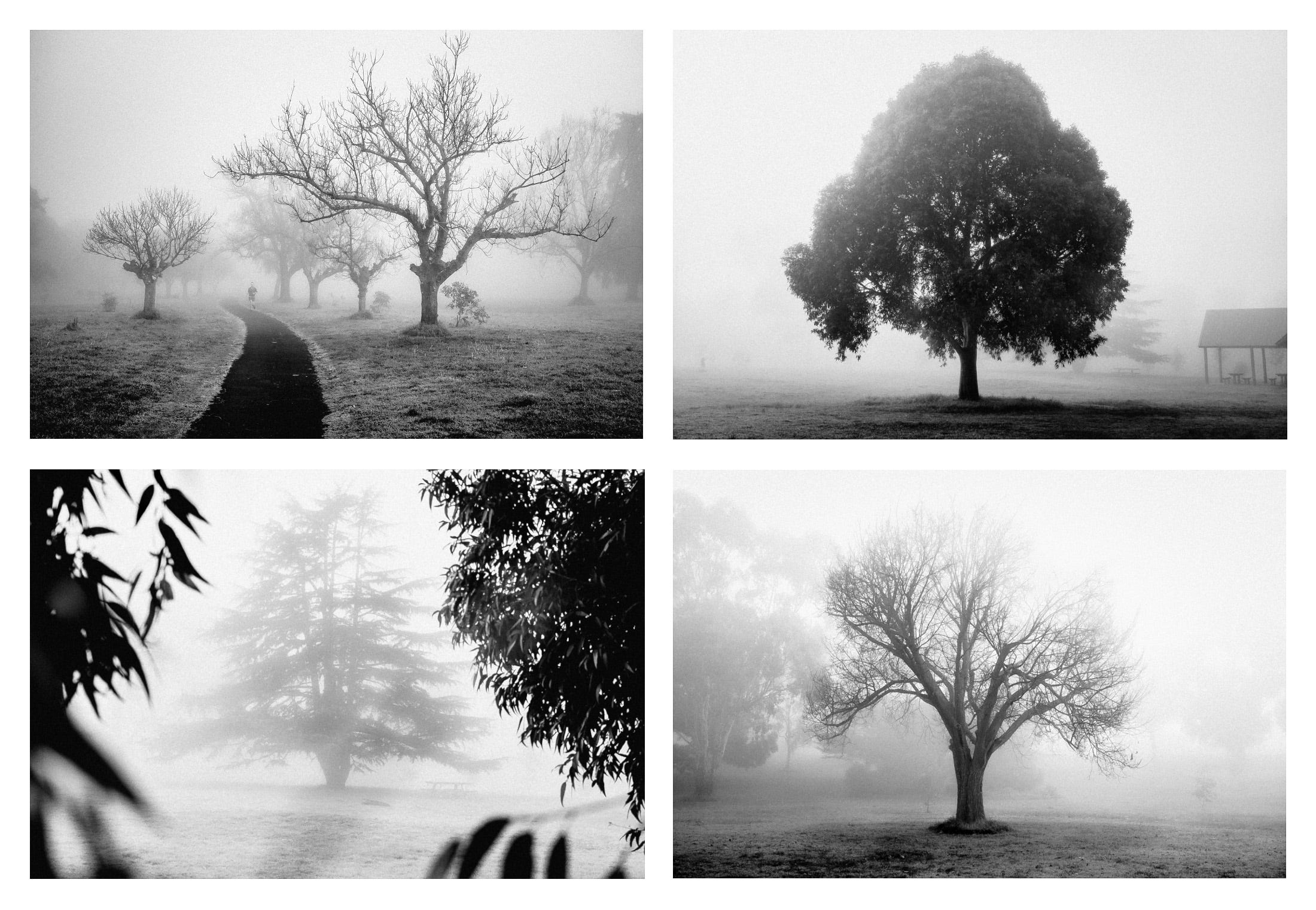 2024 in Review - by James Hider - A Photography Journey