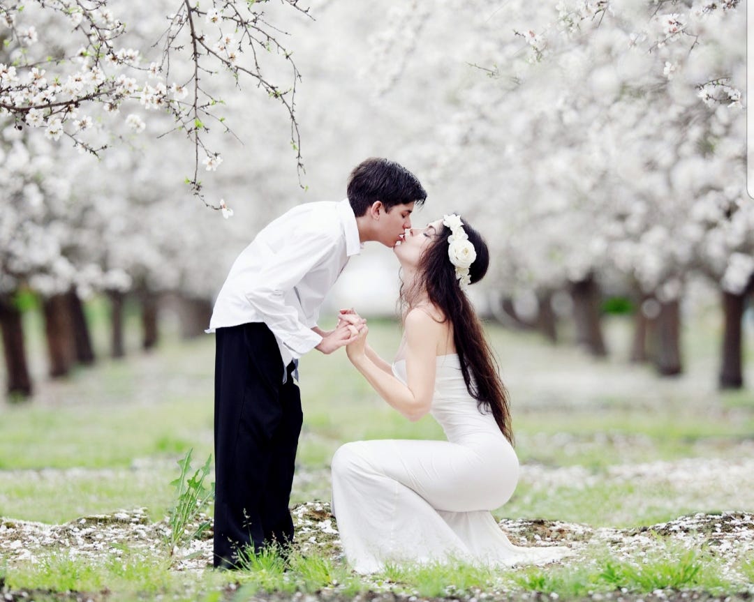 Heidi Heil STOPS Thymectomy | Substack