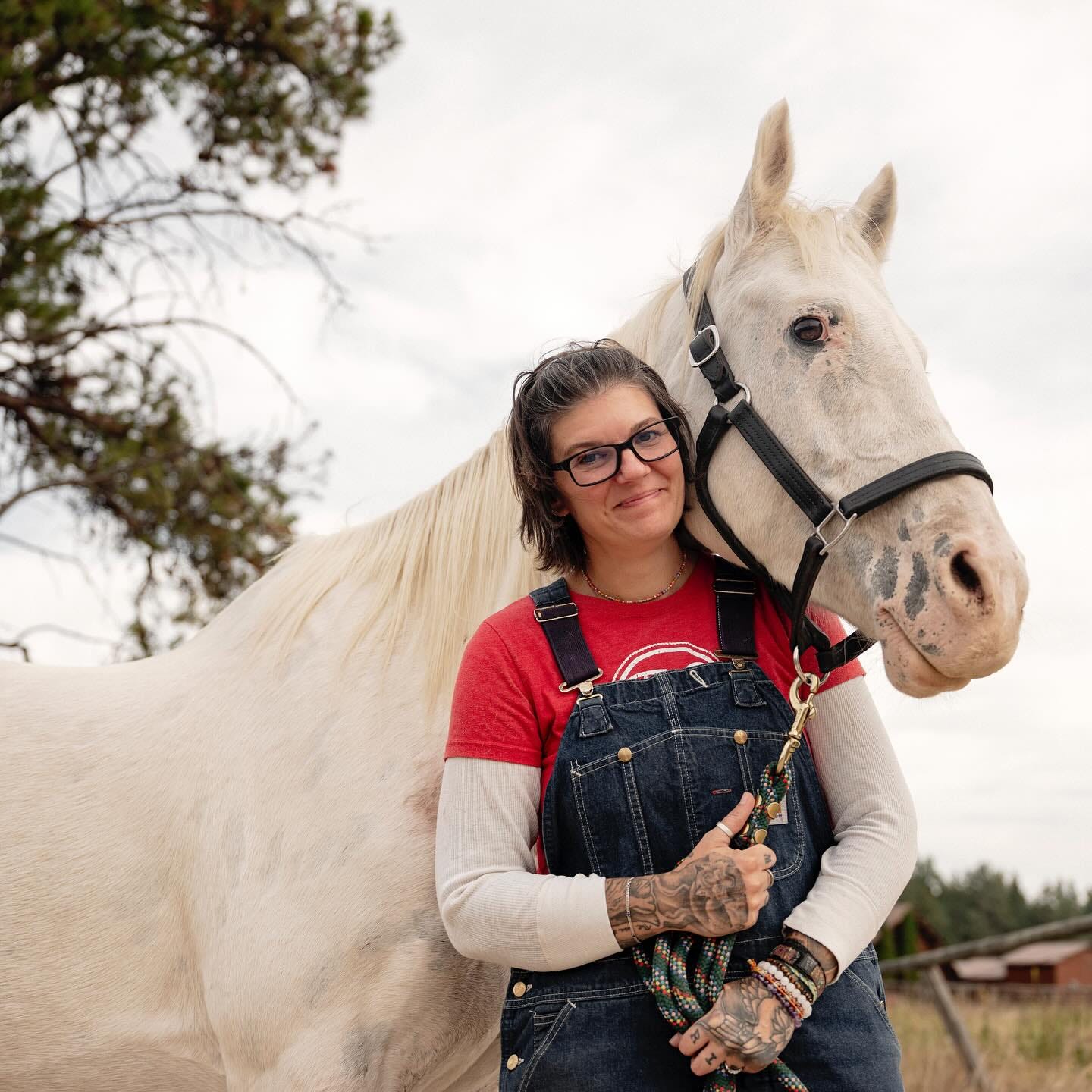 Happy Holidays, Happy New Year, Happy Stephanie!