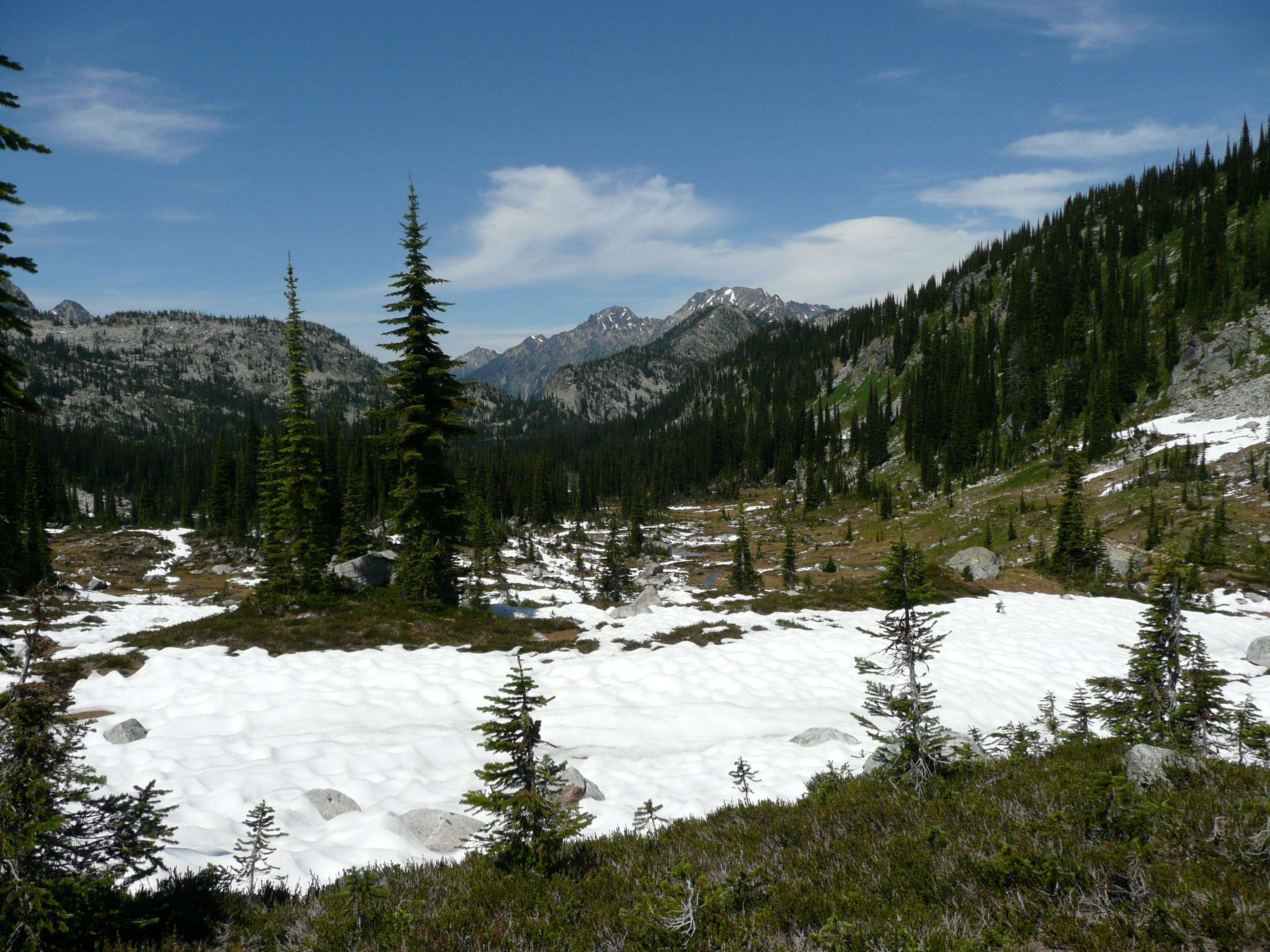 Time for Reflection - by Diana van Eyk - Diana’s Substack