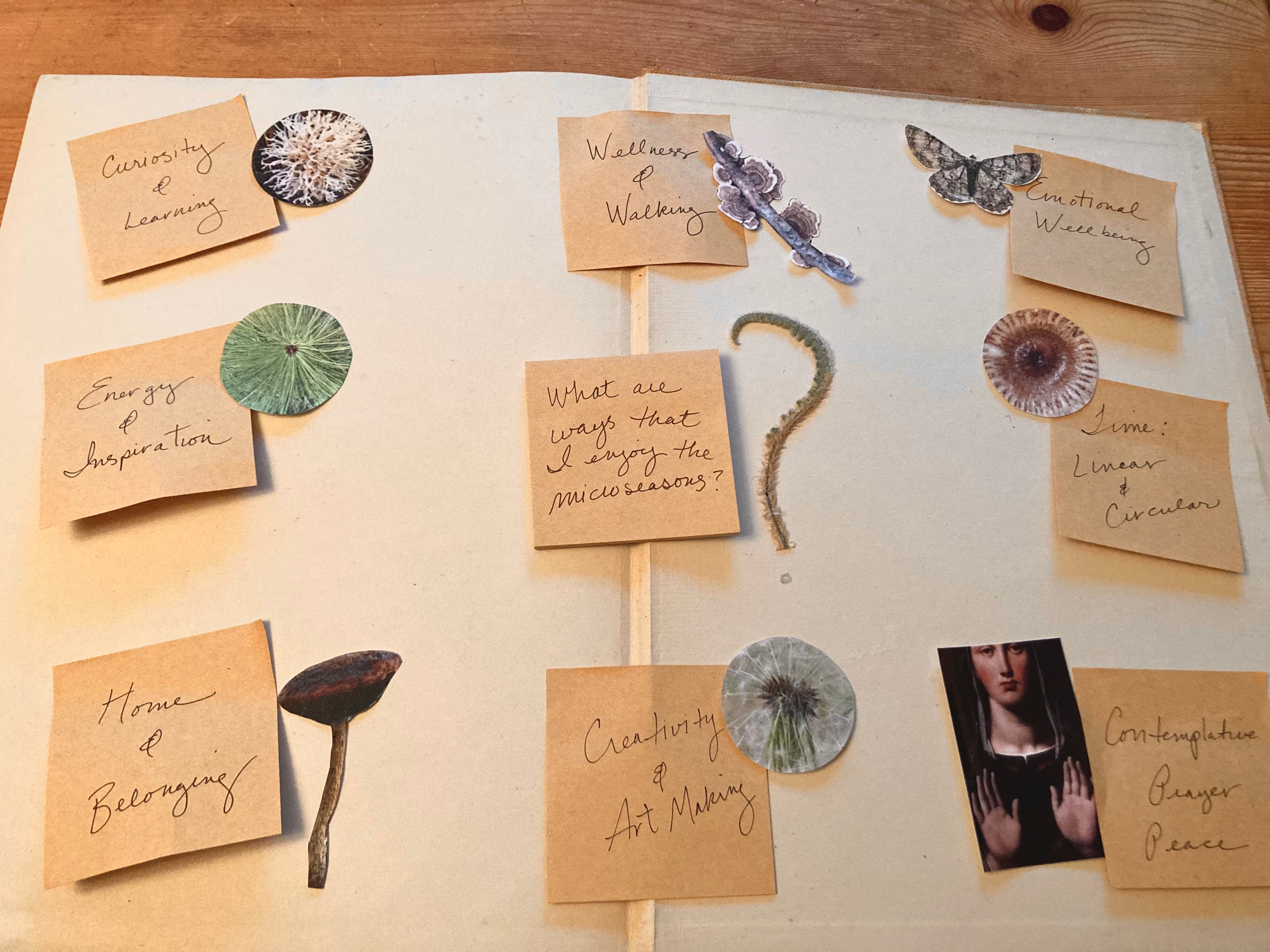 Moveable Mind Maps - by Ann Collins - Microseasons