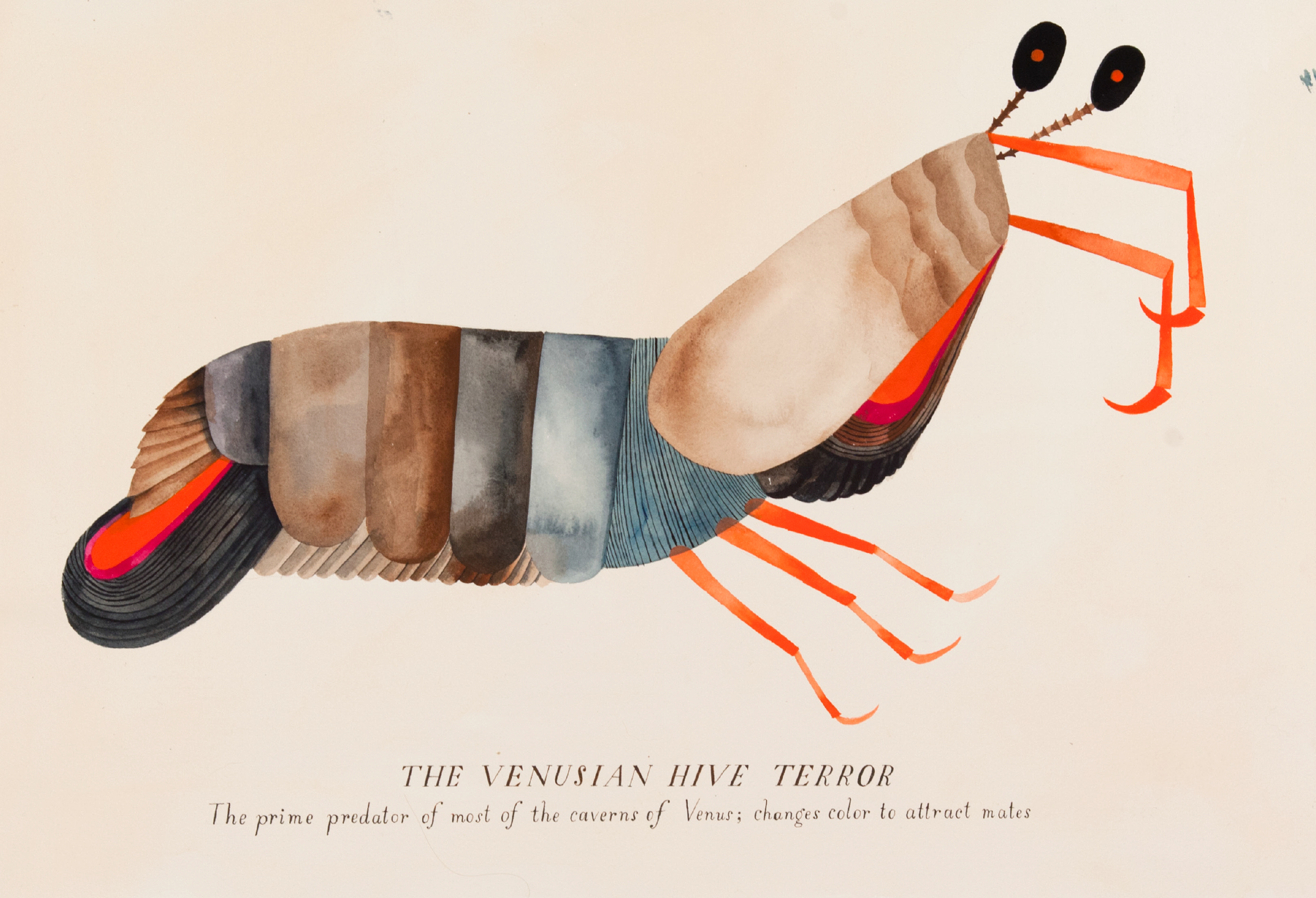 Happy Birthday, Hank Meloy - by Carson Ellis - Slowpoke