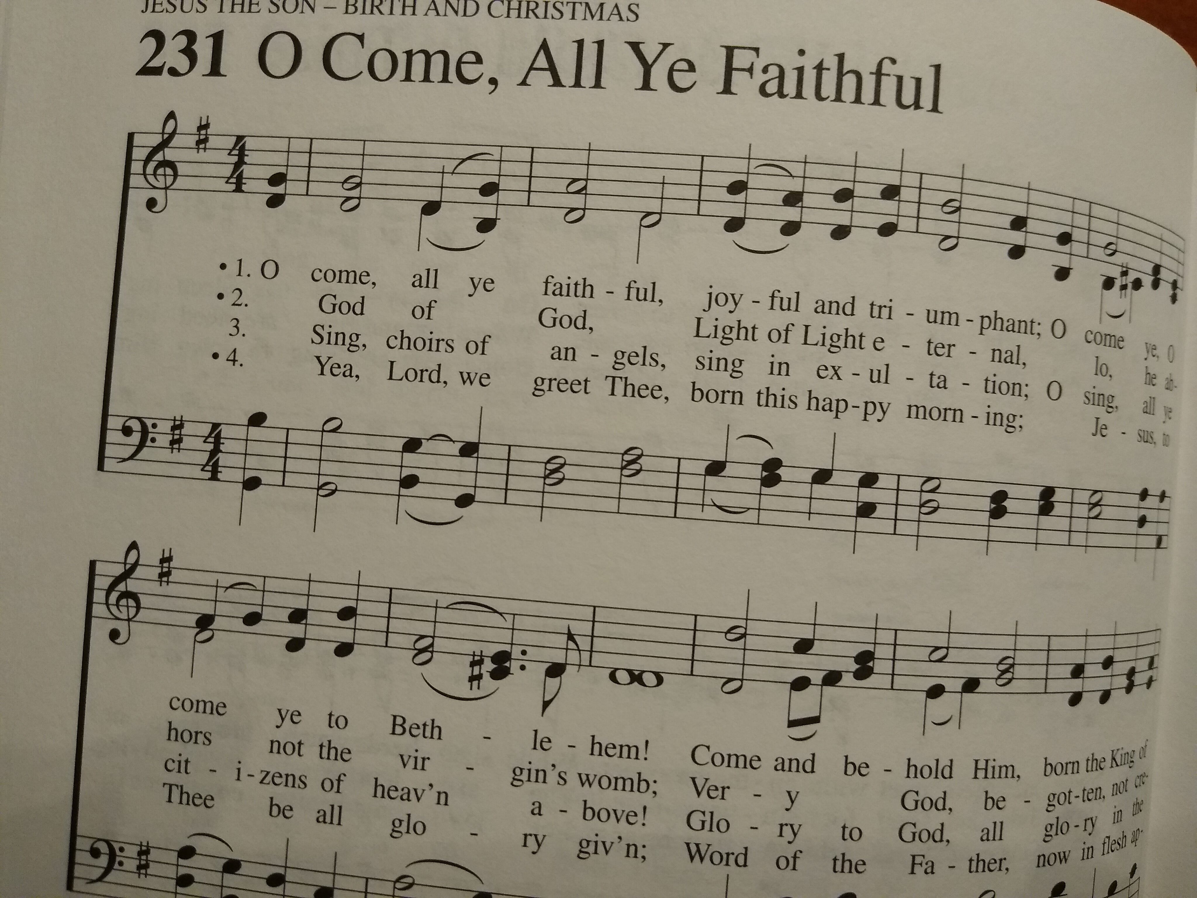 Christmas Carol Messages: O Come All Ye Faithful