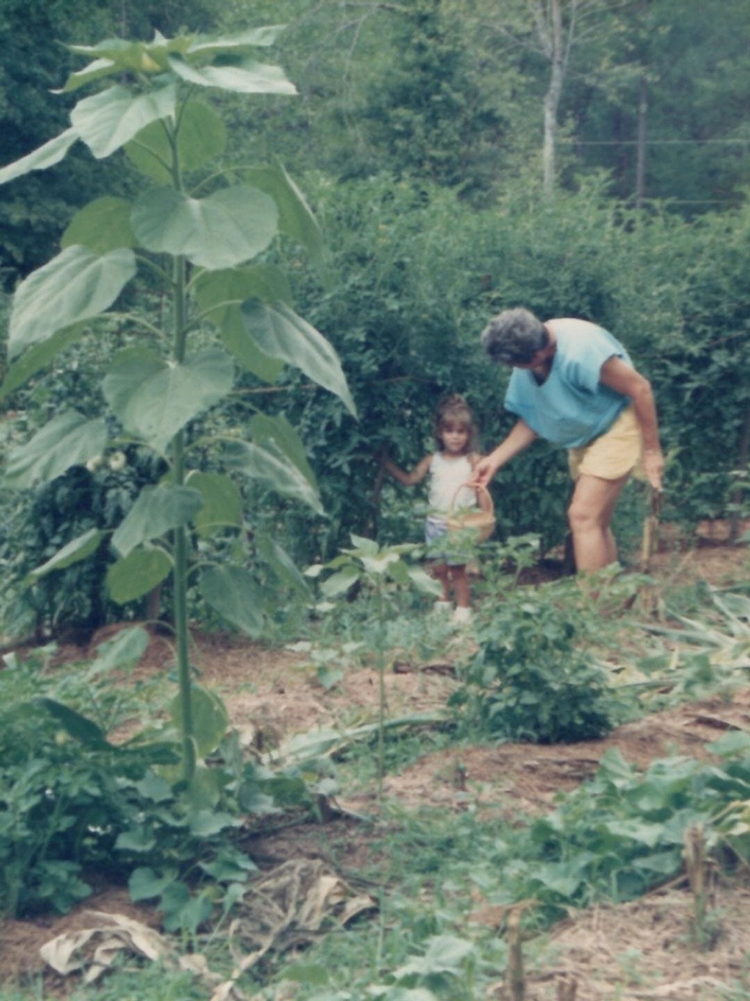 About - Lexi’s Substack