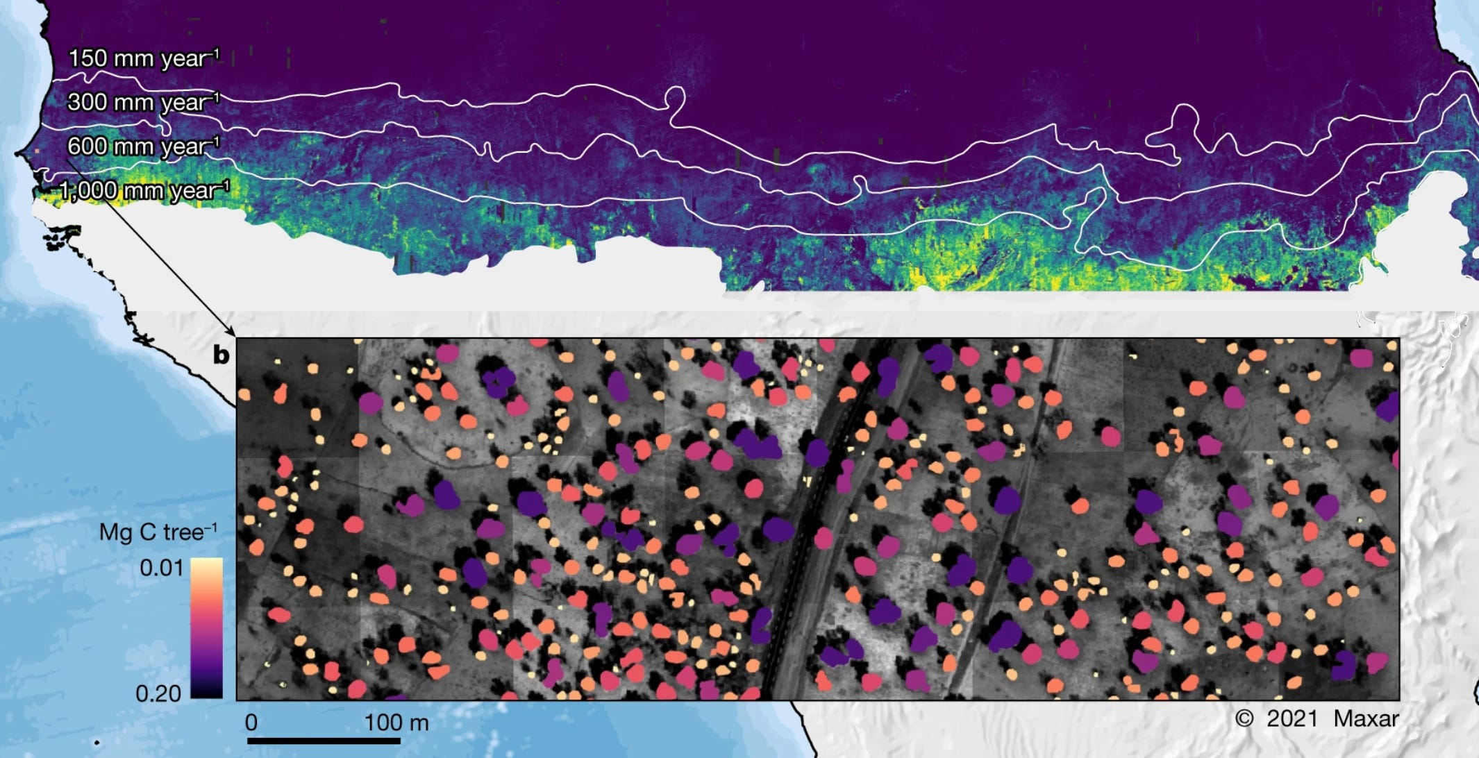 New discoveries #12 - by Robin Cole