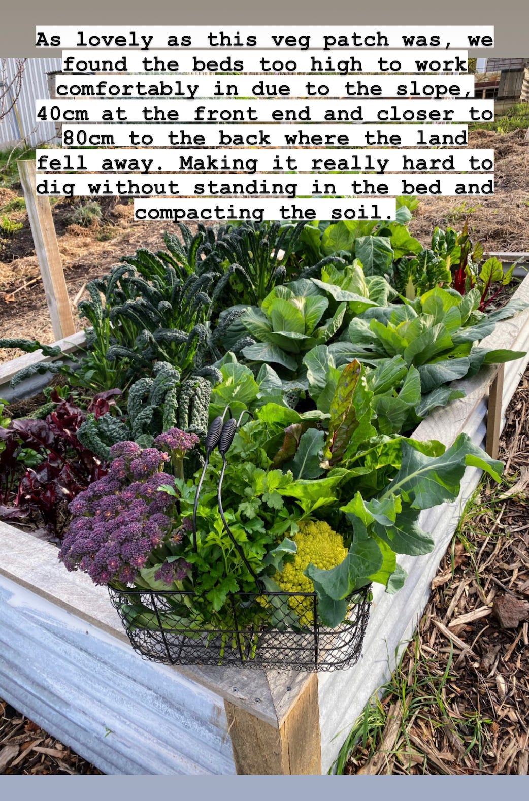 The Productive Garden Guide: Part 1