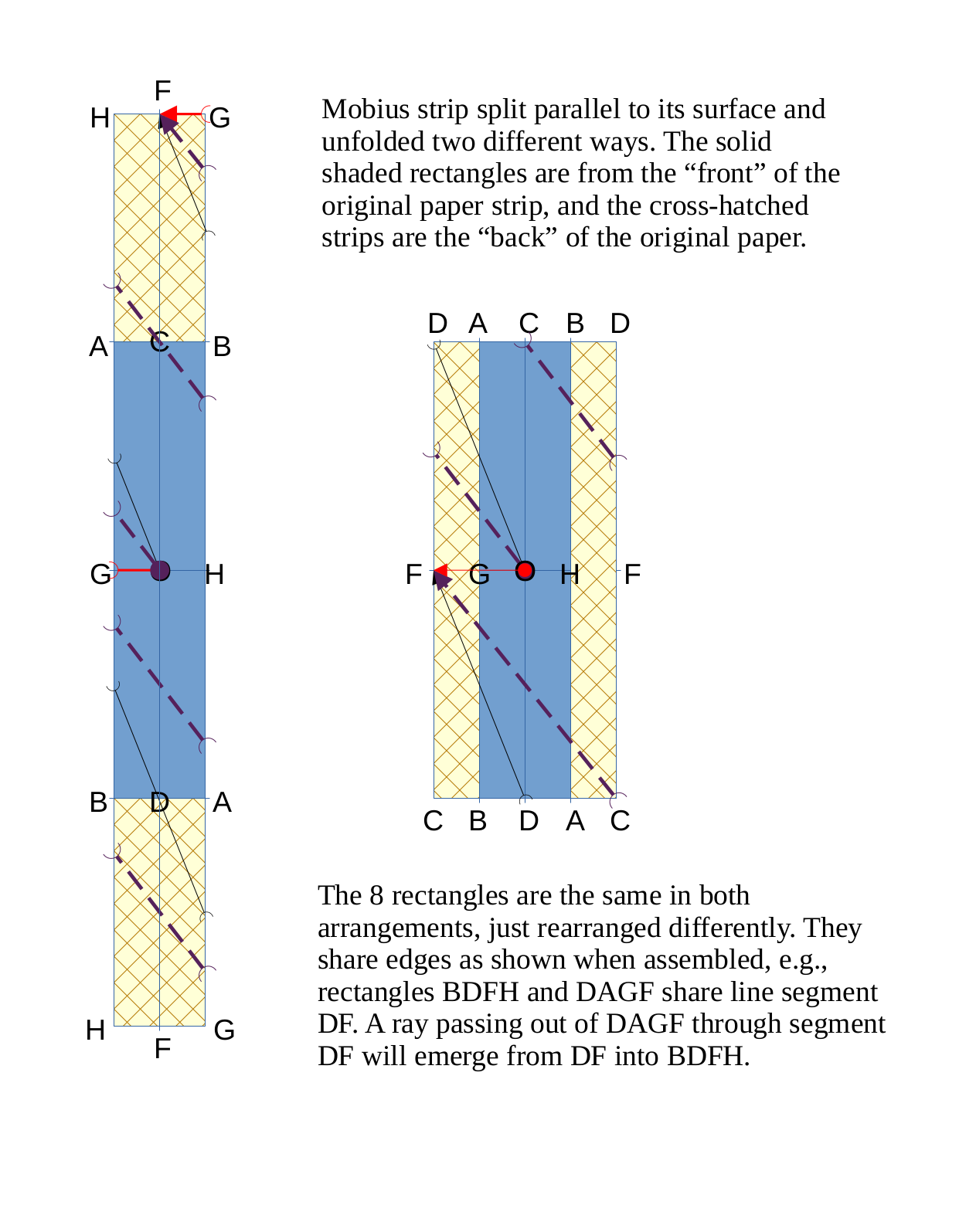 Wave propagation on a Mobius strip - by Glenn Horton-Smith