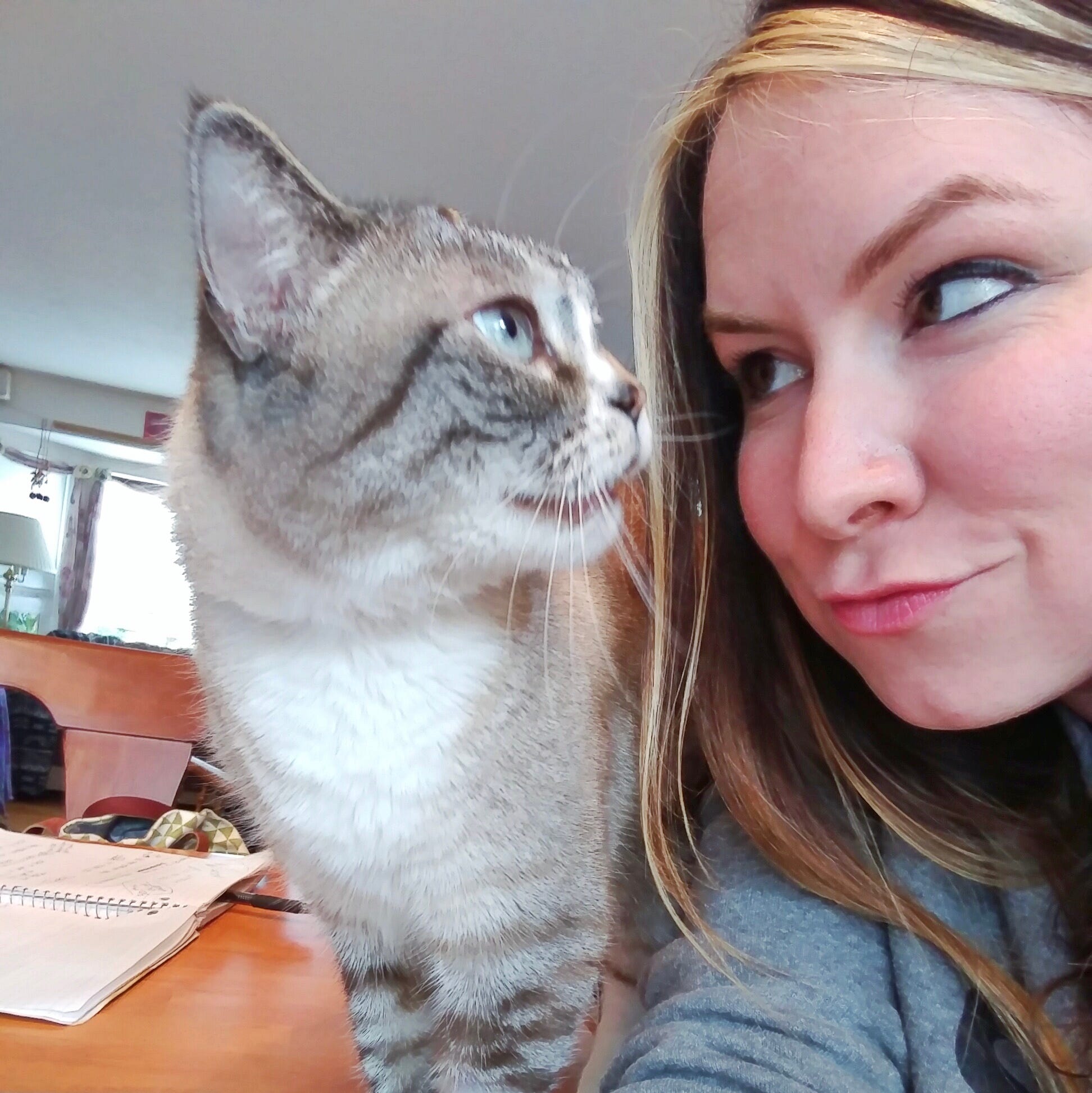 Laura Howe | Substack