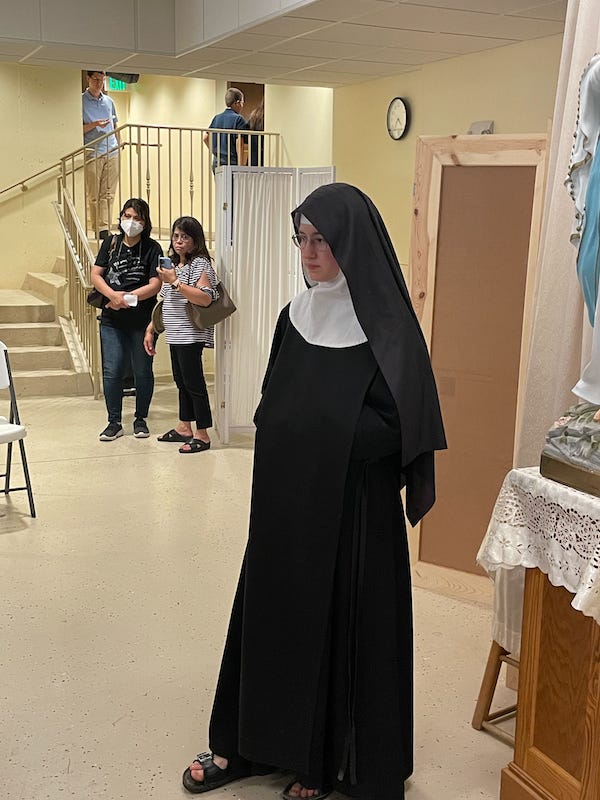 'I want to see for myself' - Thousands look for miracle at Gower Abbey