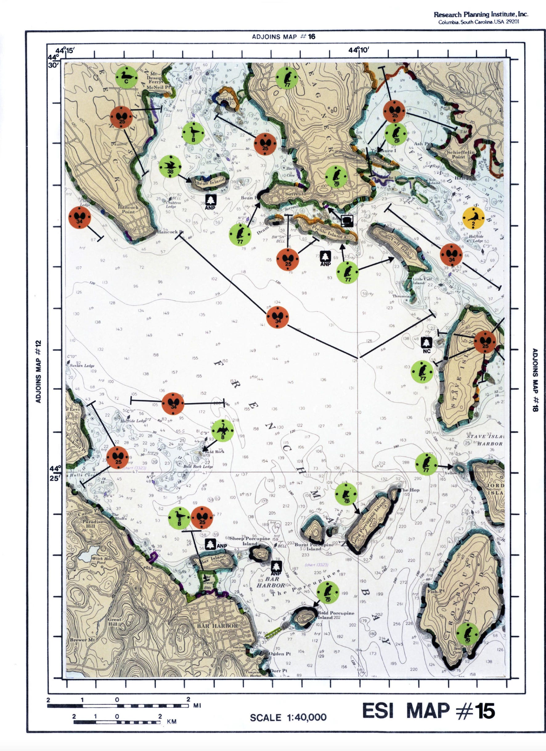 EDEN STAR grounds at COA - by Carrie Jones