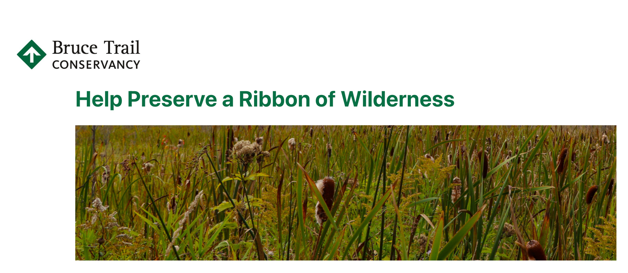 Bruce Trail Conservancy Aims to Create Three New Nature Reserves in ...