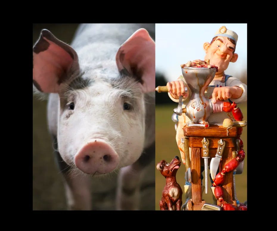Yes, Virginia, Eating Animals Normalizes Violence