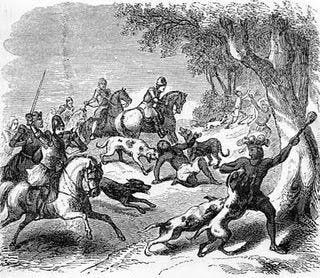 Spanish war dogs - Alan Huffman's What Happened