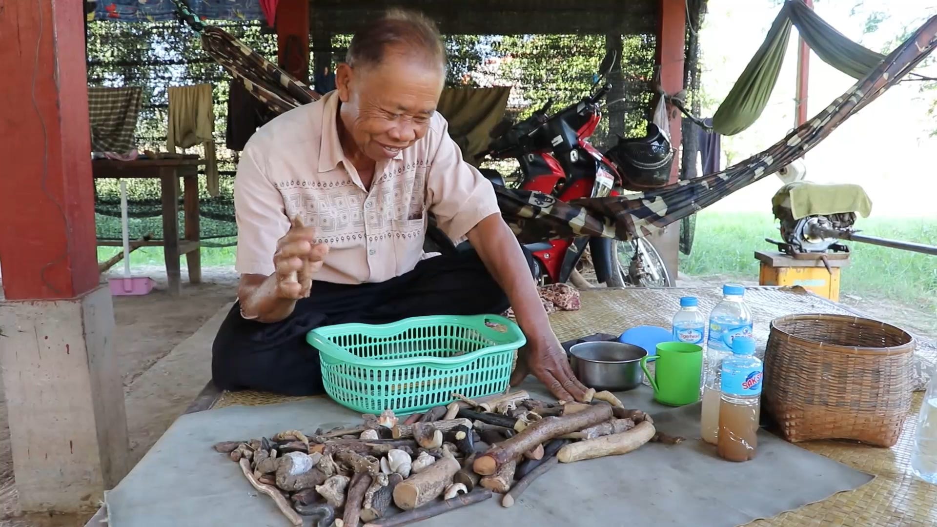 Traditional Medicine in Southern Laos: A Documentary