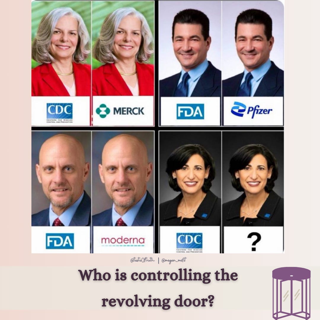 The Revolving Door: Navigating the Intersection of Regulation and Big ...
