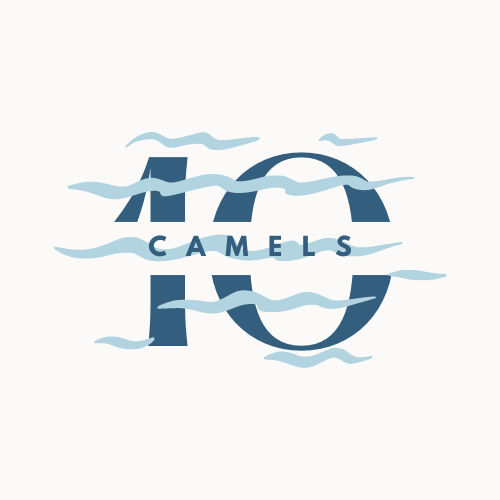 10 Camels | Substack
