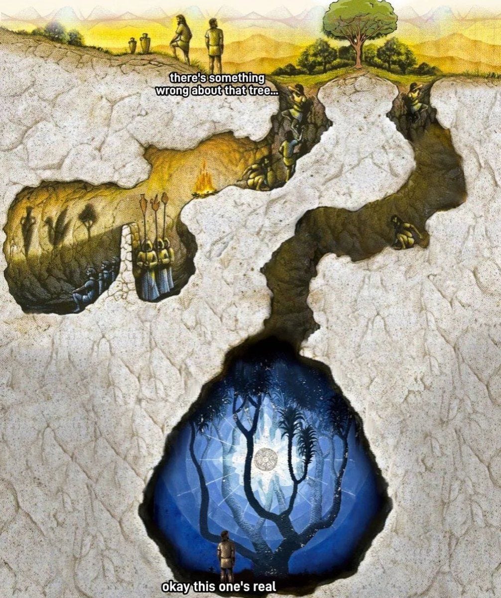 Allegory of the Cave - Imran Nazir