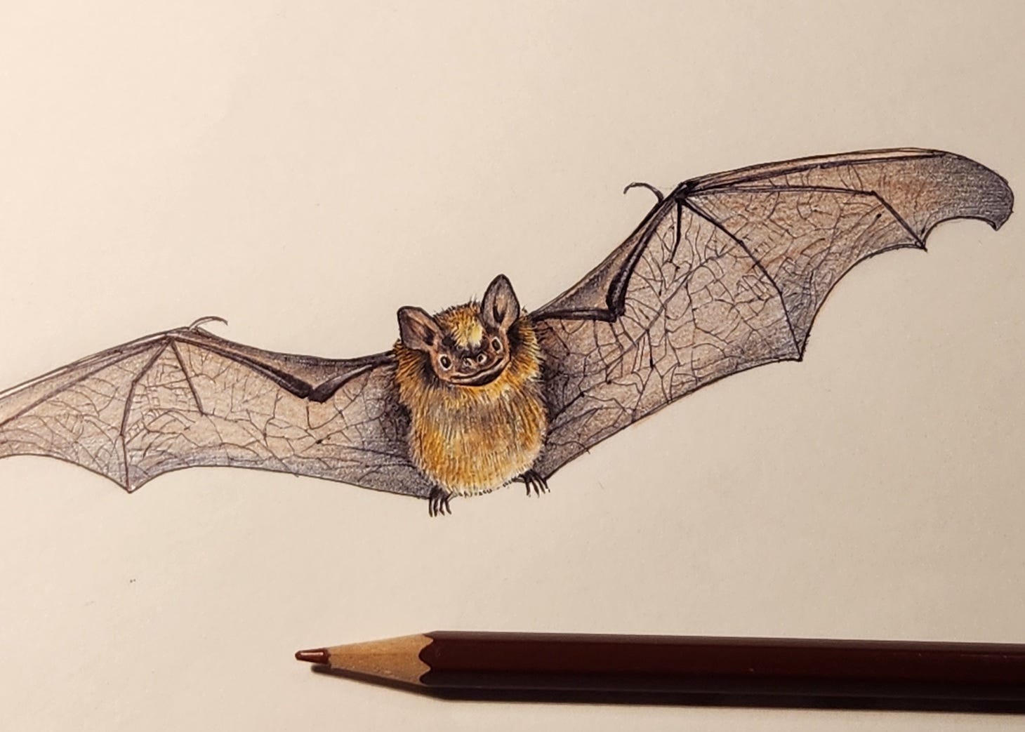 A slight adjustment - by Val Webb