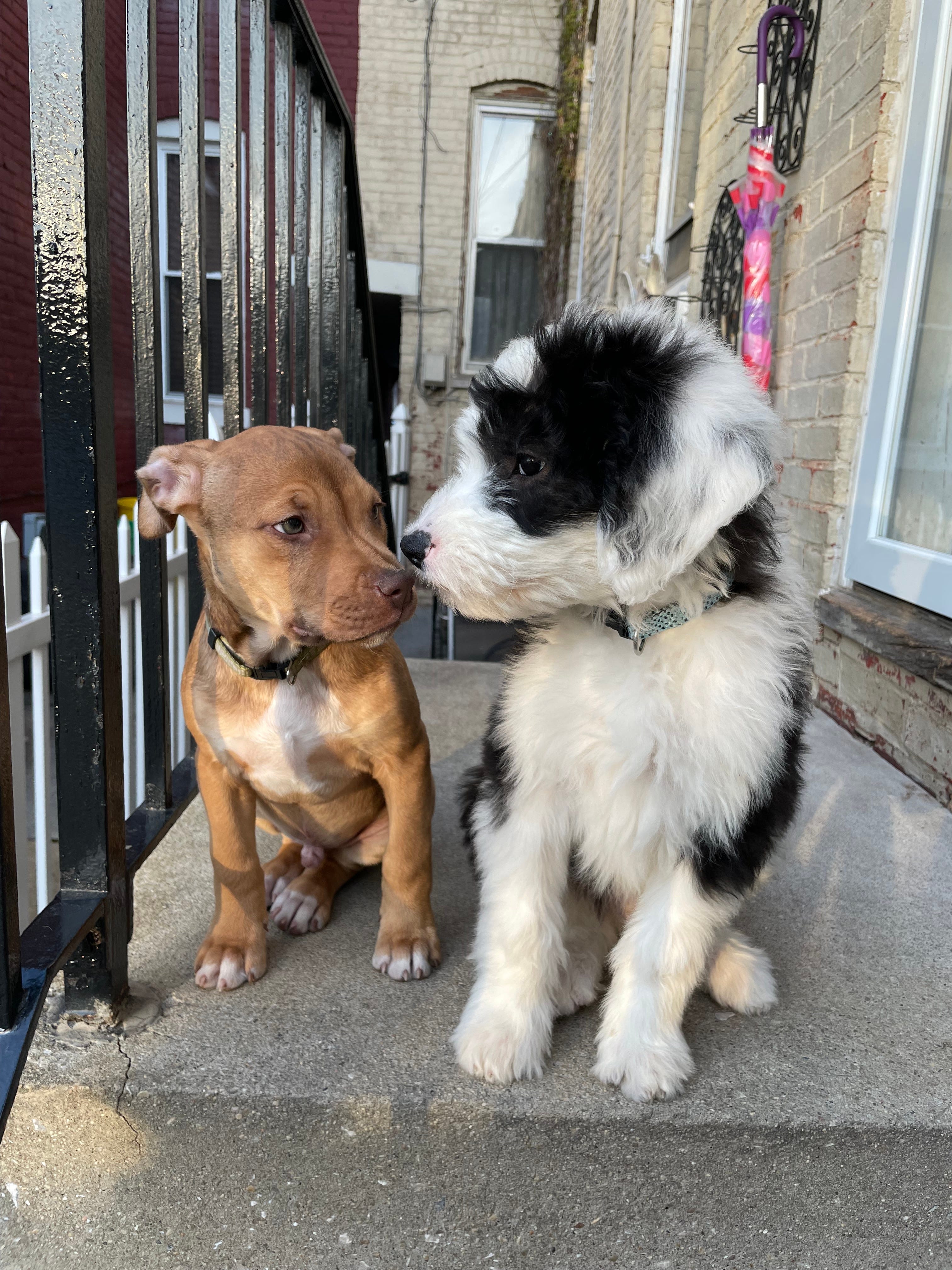 Mike Hawthorne Art Newsletter | Substack