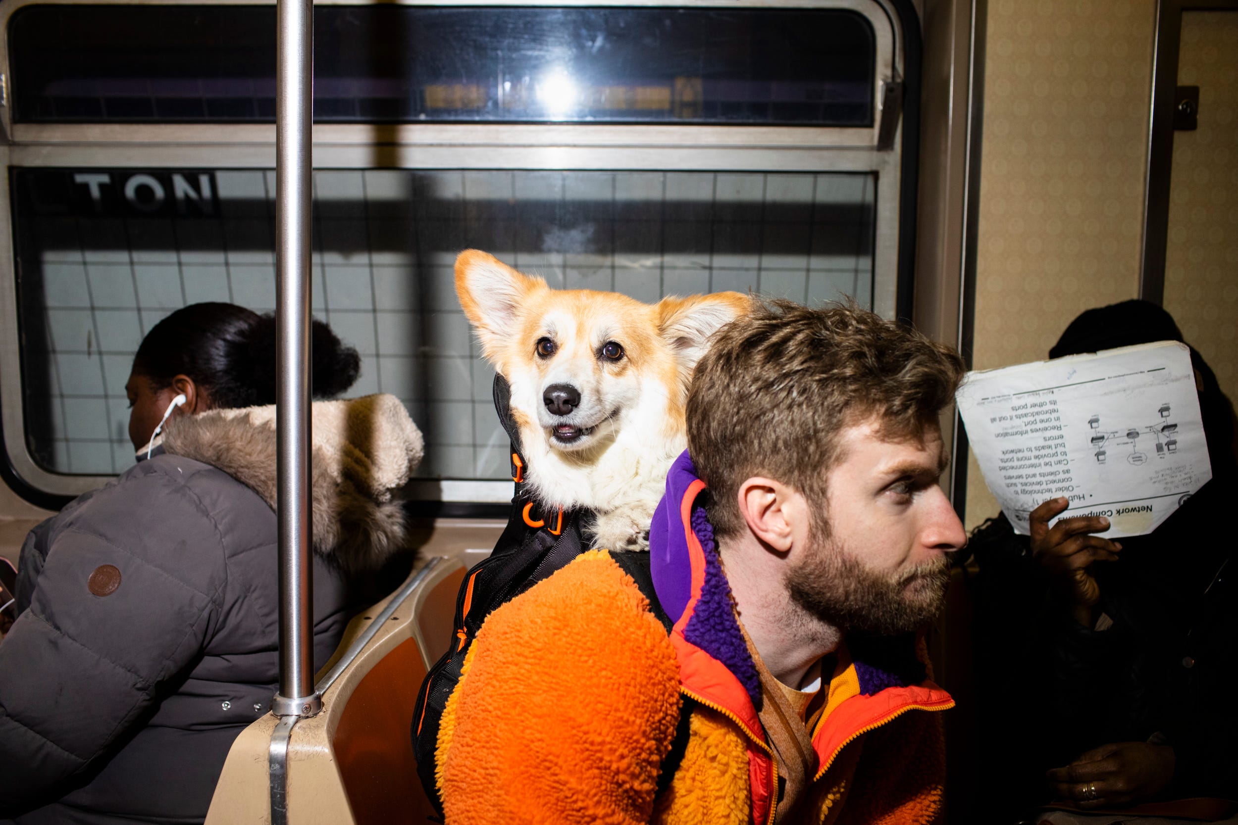 When Your Dog Pays the Mortgage - by Noah Rinsky