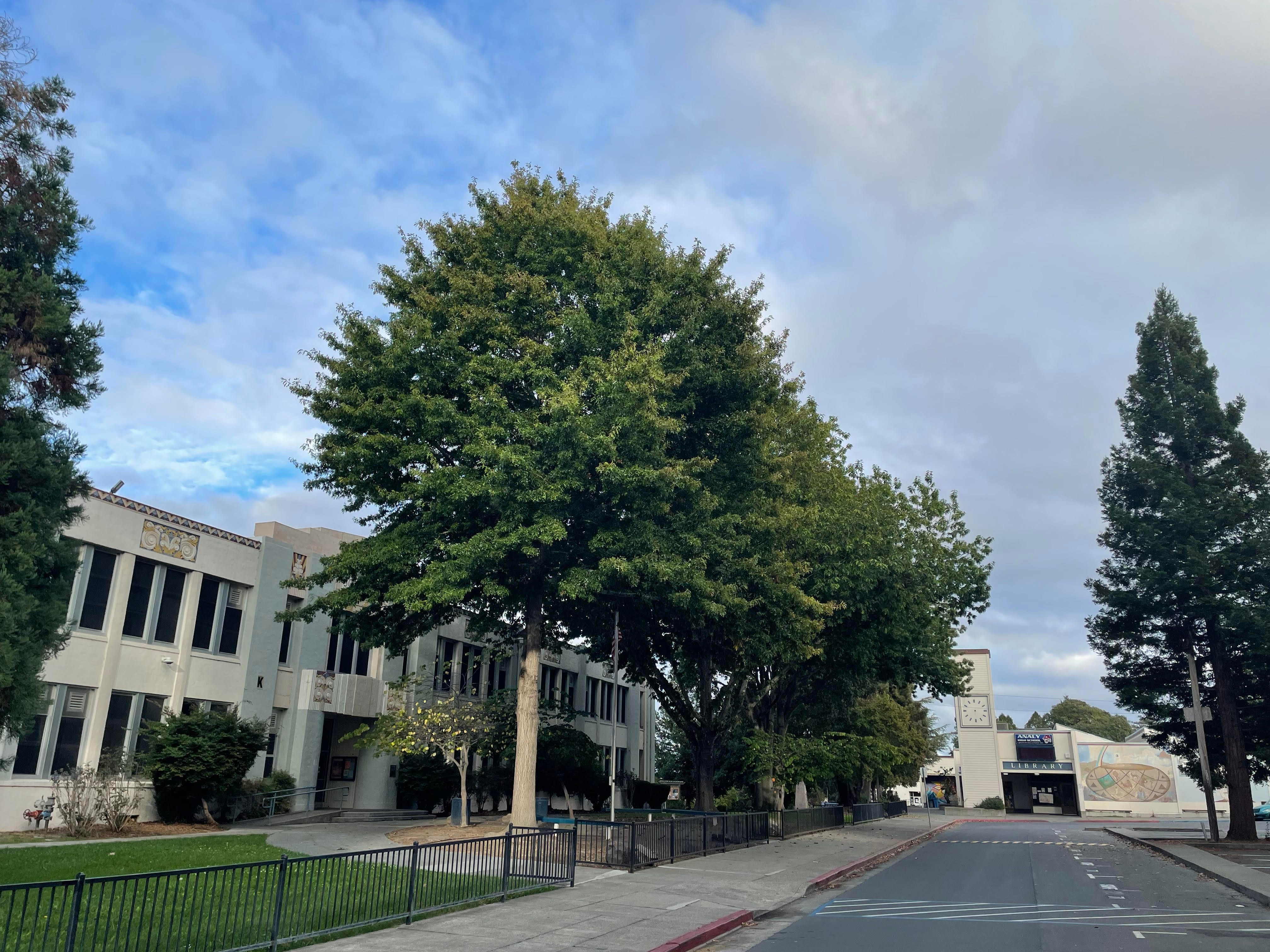 Japanese internment memorial at Analy gets a thumbs up, while plan to ...