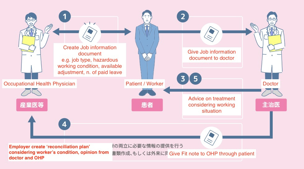 What can we learn from the Japanese fit note?