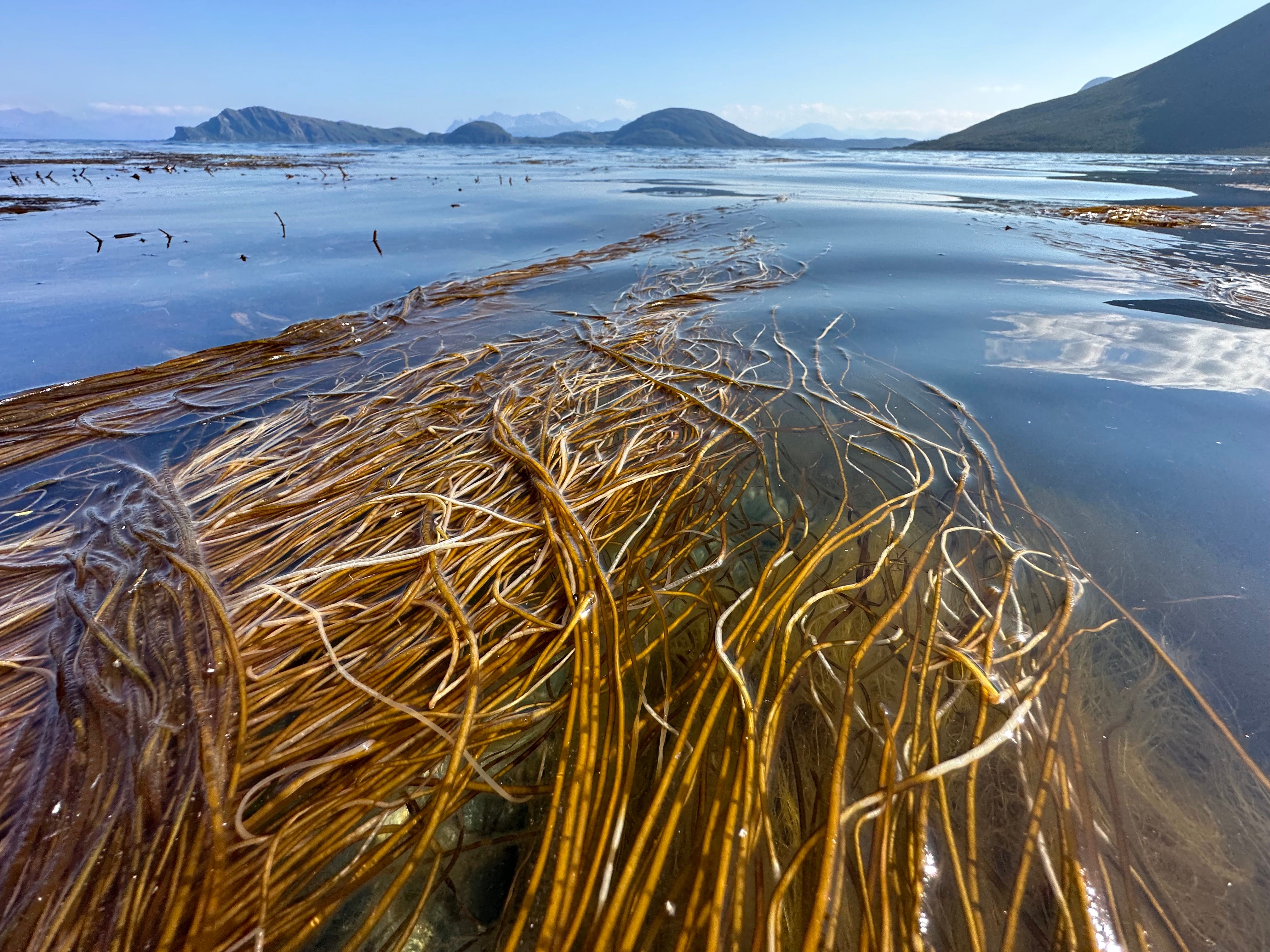 Sensorial Connection - Creative Fuel with Anna Brones